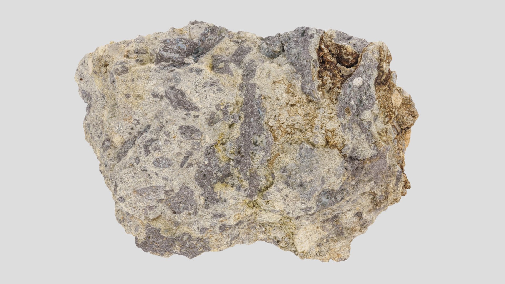 New Jena specimen No 11 - Download Free 3D model by Marko Vrabec ...