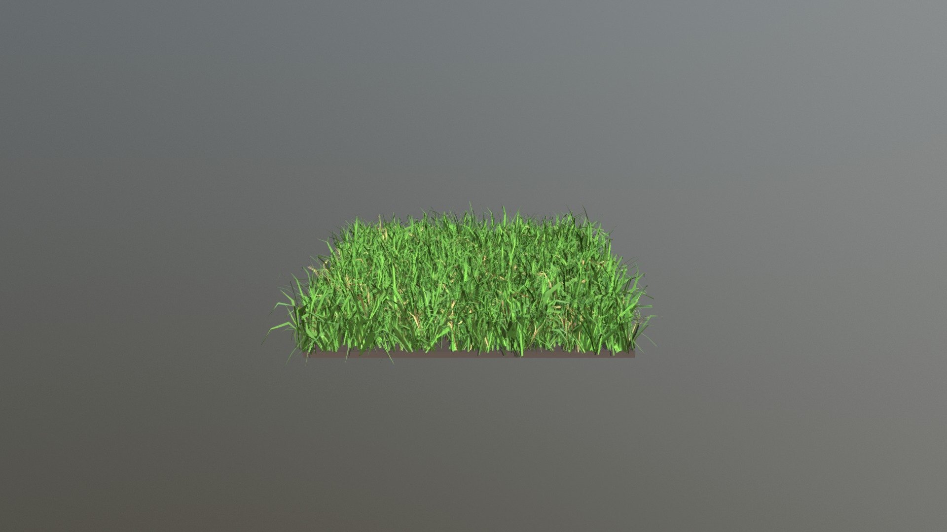 Grass - 3D model by madcadskills [da5b6df] - Sketchfab