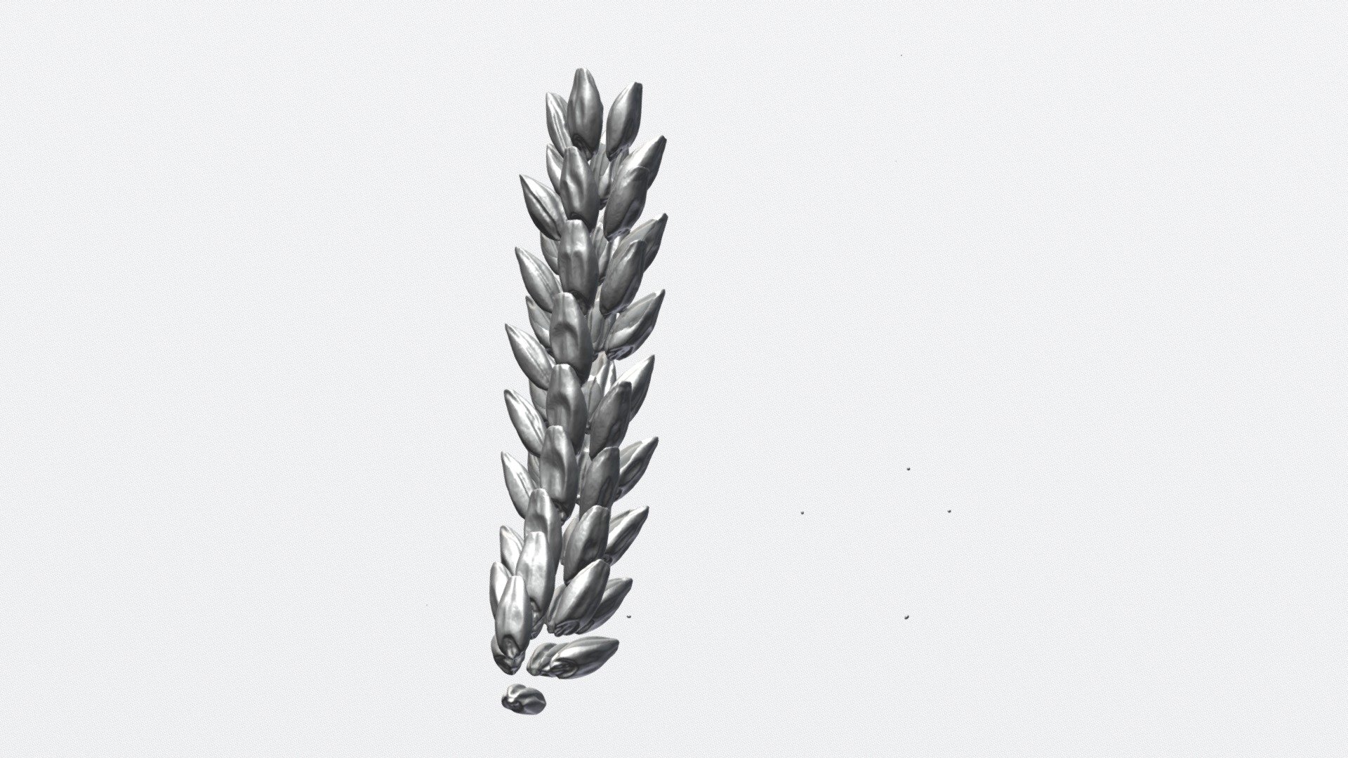 Barley grains - 3D model by endlessforms [da5c6a7] - Sketchfab