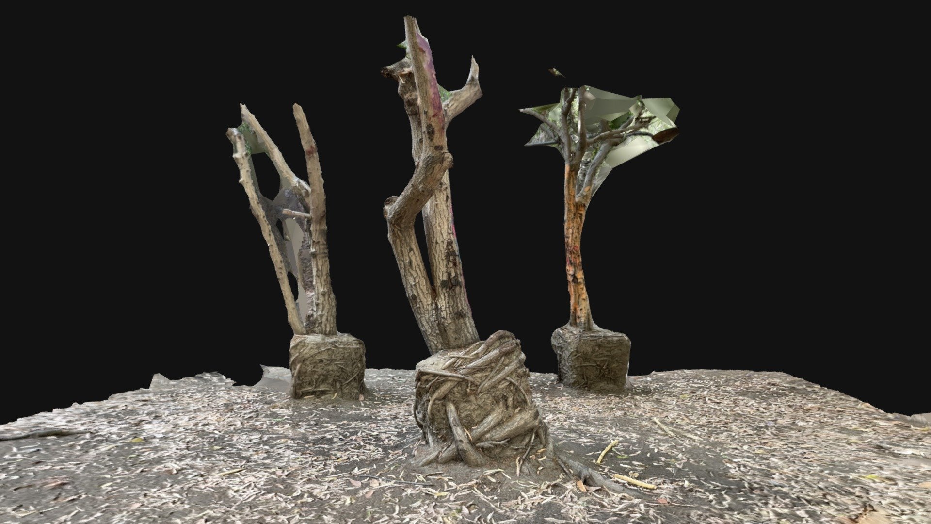 Tree with Box Roots - Download Free 3D model by garagestudios [da5e45d ...