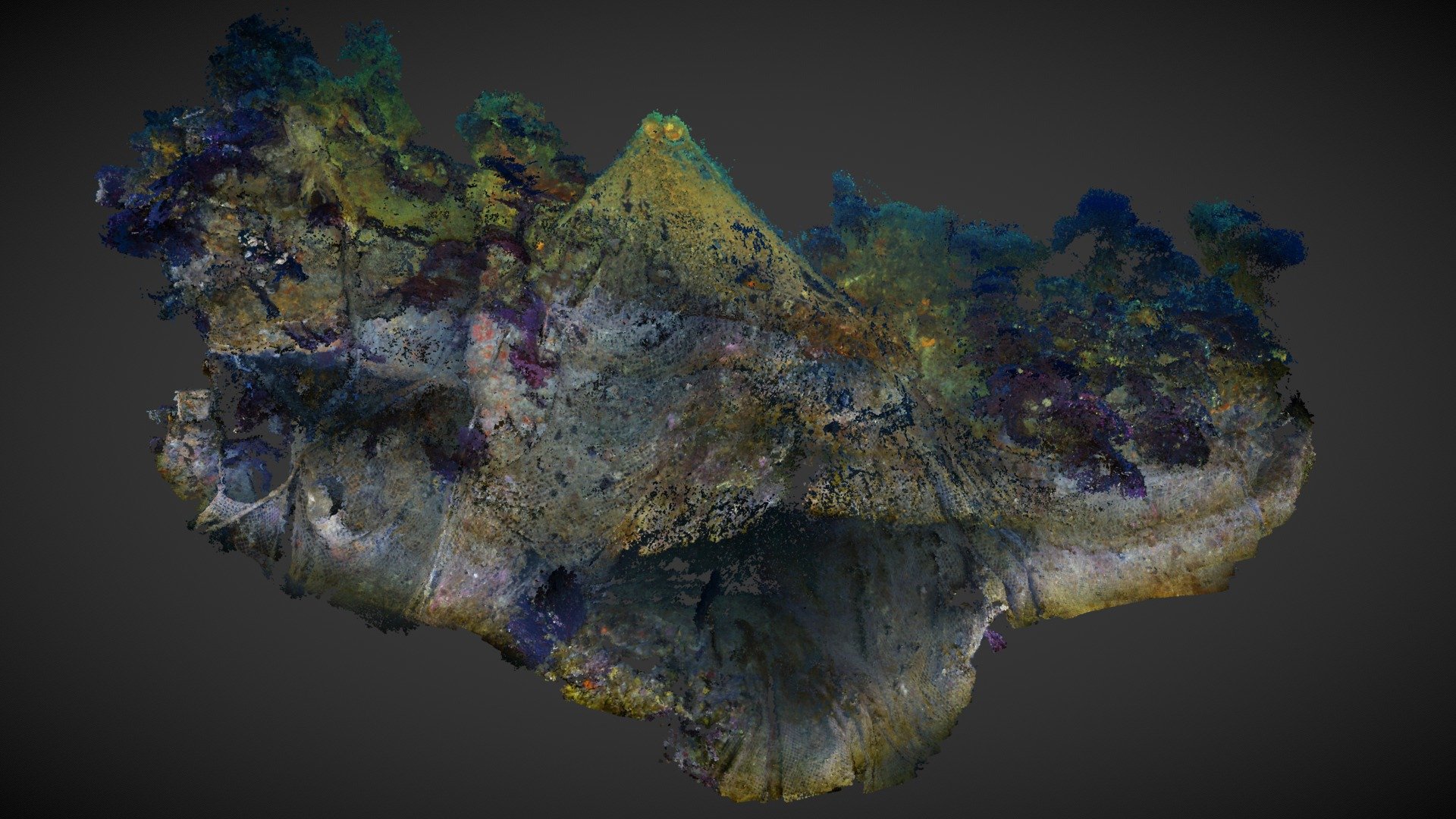 Punta Manara Recovery project - 3D model by Reef Alert Network ...
