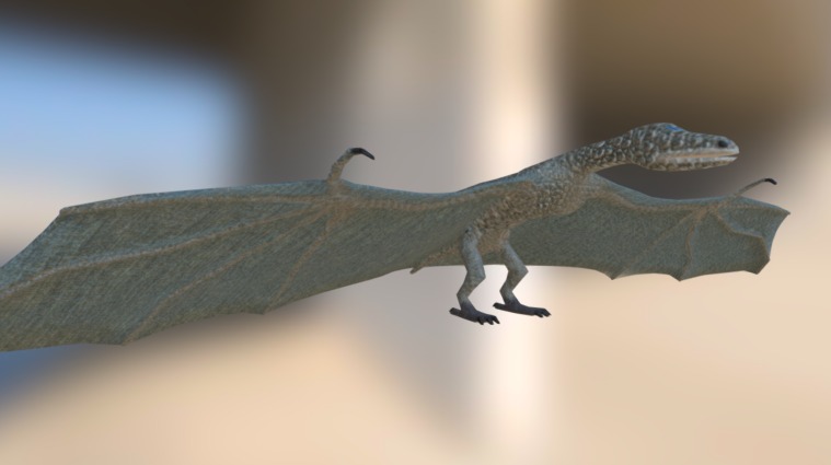 Wyvern, version 3 - 3D model by BerryBubbleBlast [da63e0e] - Sketchfab