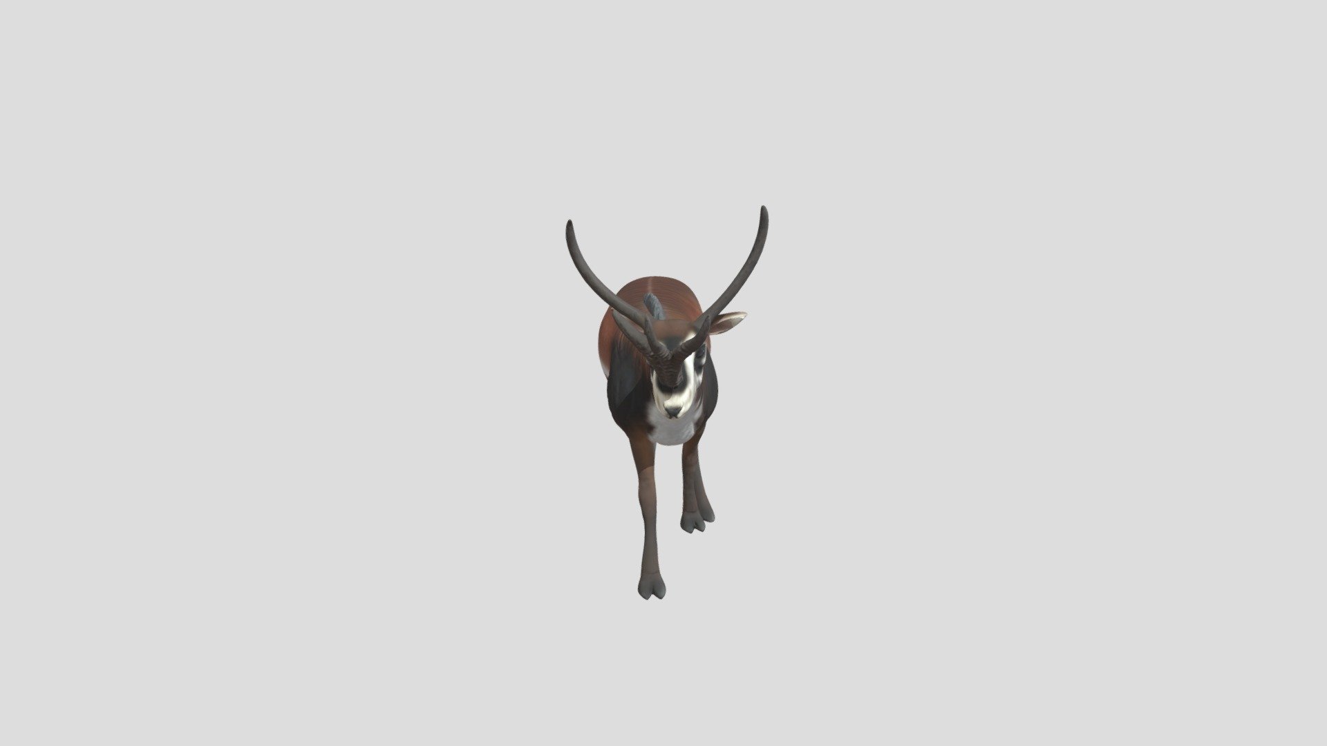 Kyptoceras - 3D model by zippyzoomy1 [da64cfc] - Sketchfab