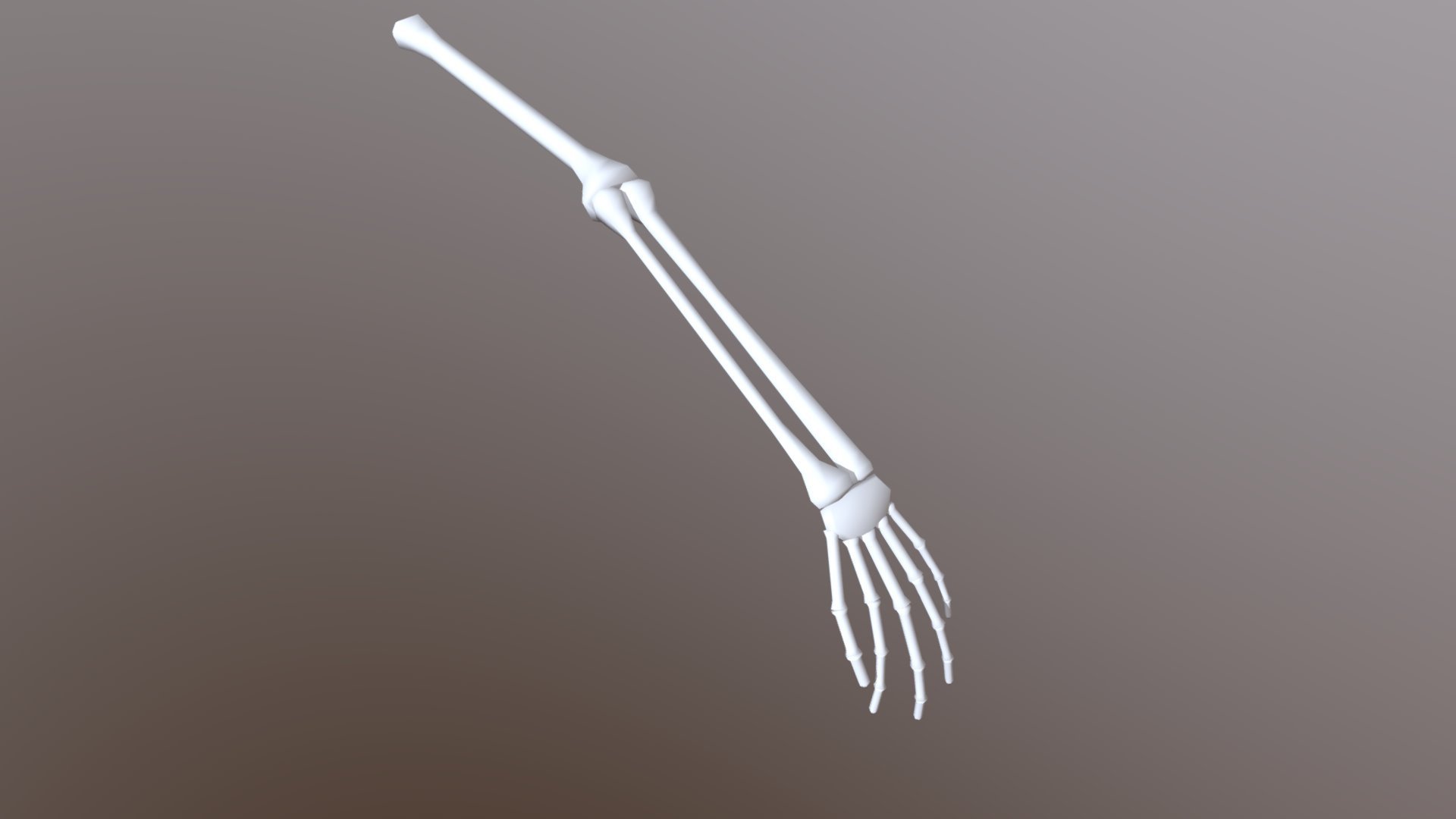 Skeleton Arm - 3D model by dgm343 [da687ee] - Sketchfab