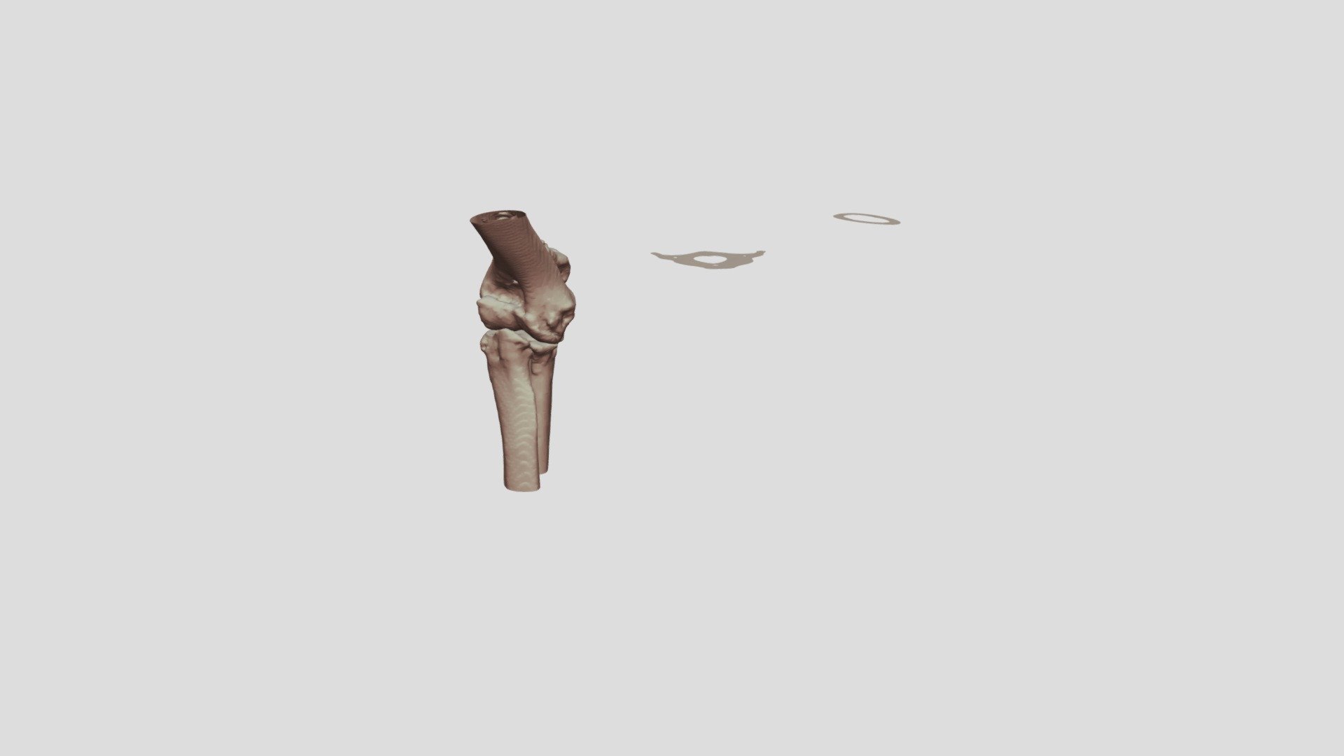 3D elbow - 3D model by ukrotscheck [da6dab3] - Sketchfab