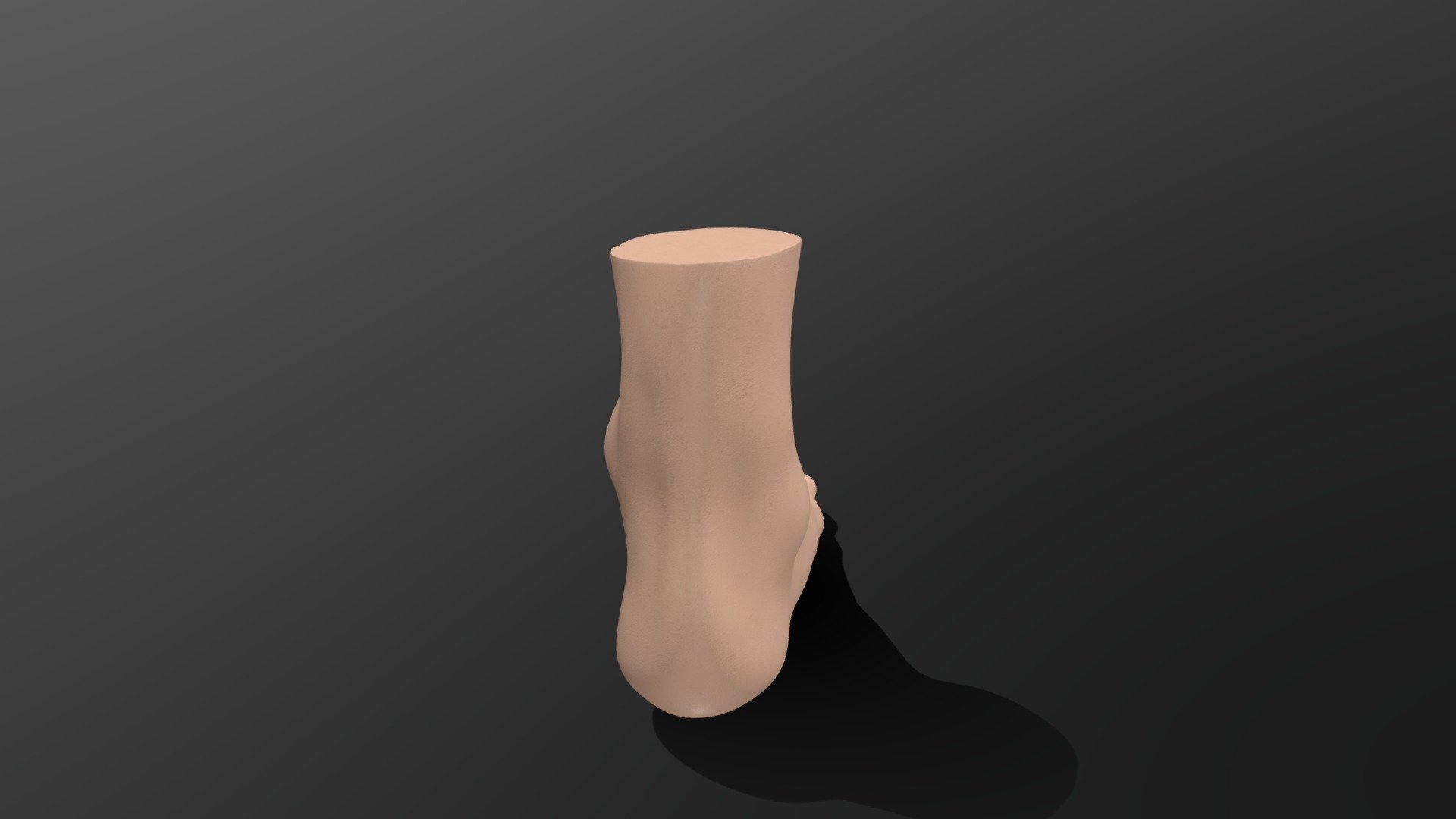 Foot Sculp - Download Free 3D model by art3mis44 [da8044e] - Sketchfab