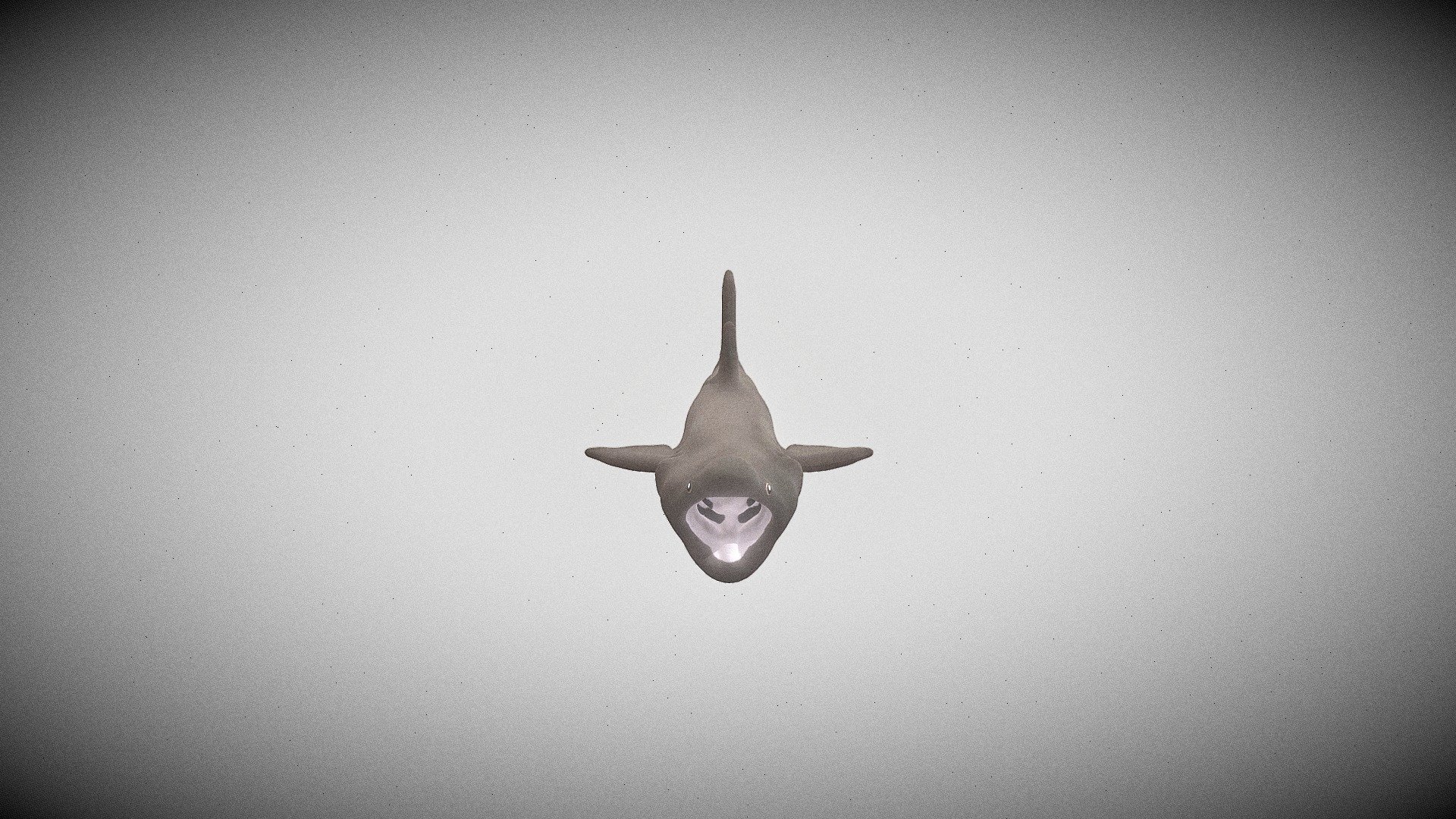 Basking Shark Rig - Download Free 3D model by Titanicalmodeler204428901 ...