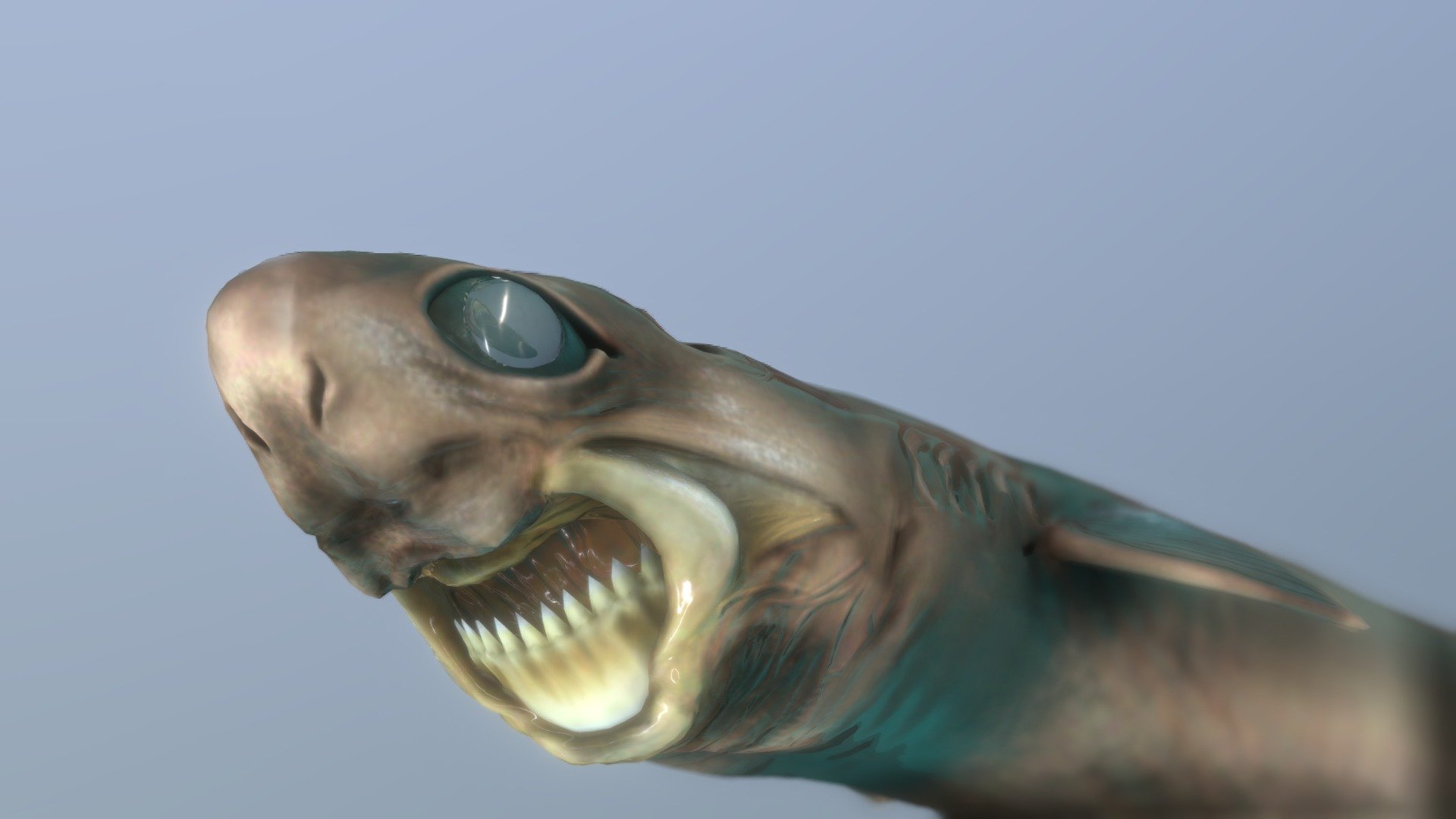 cookie cutter shark - Buy Royalty Free 3D model by Boycraft [da88f76 ...