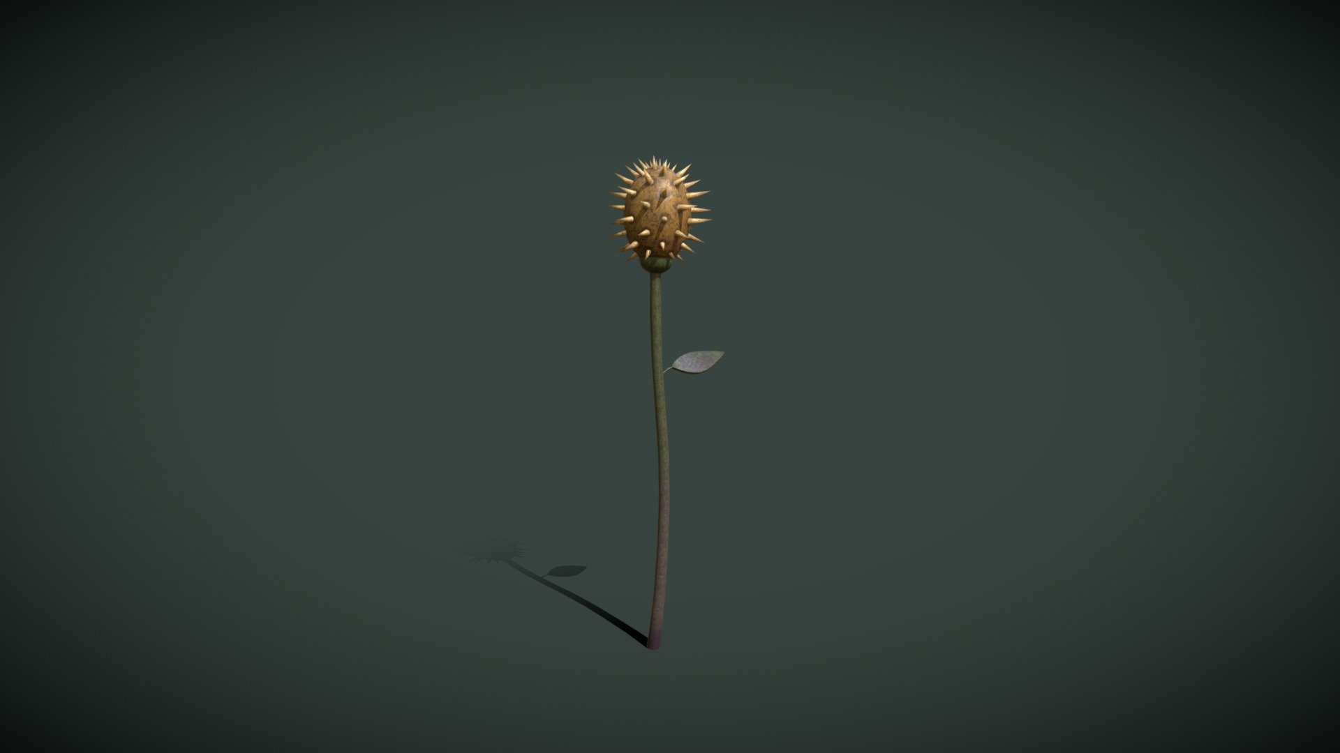 Poisounous Flower Closed - Download Free 3D model by DreamsOfDecay ...
