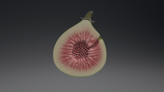 Fig fruit inside - 3D model by Cengkerik (@backbone) [da8f8c1] - Sketchfab