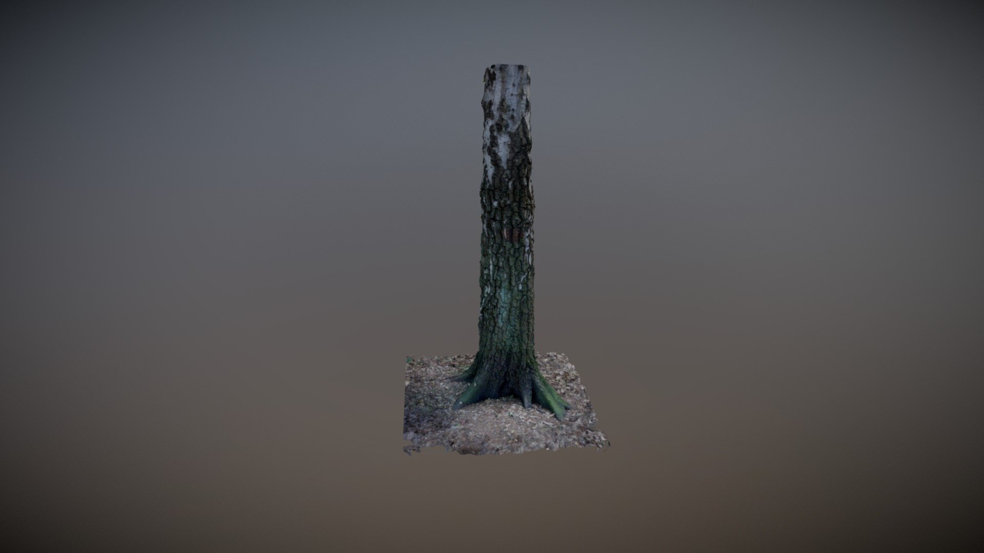 Tree3 - 3D model by Javaddicted [da920a0] - Sketchfab