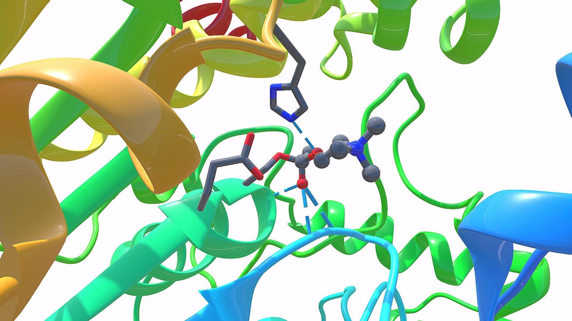 Acetylcholinesterase - AACP - 3D model by MedChemProf [da934e1] - Sketchfab