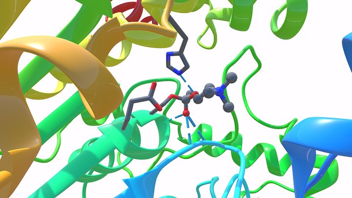 Acetylcholine 3D models - Sketchfab