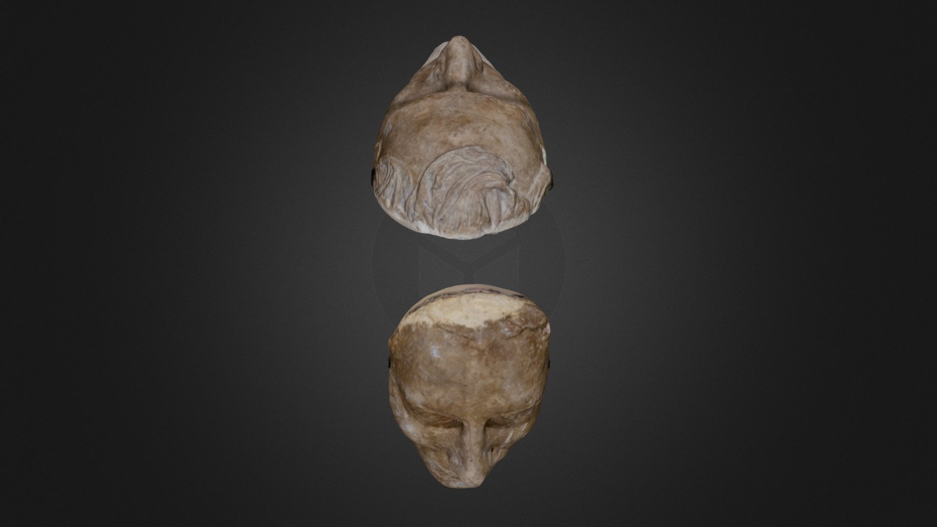 Dibble Death Masks of Joseph and Hyrum - 3D model by patrickbishop ...