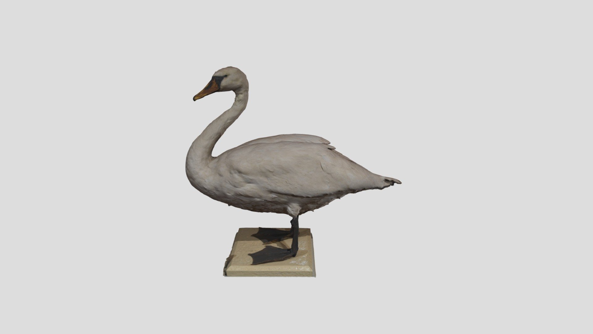TEST_Cigno - 3D model by 3Digit [da9b8d0] - Sketchfab