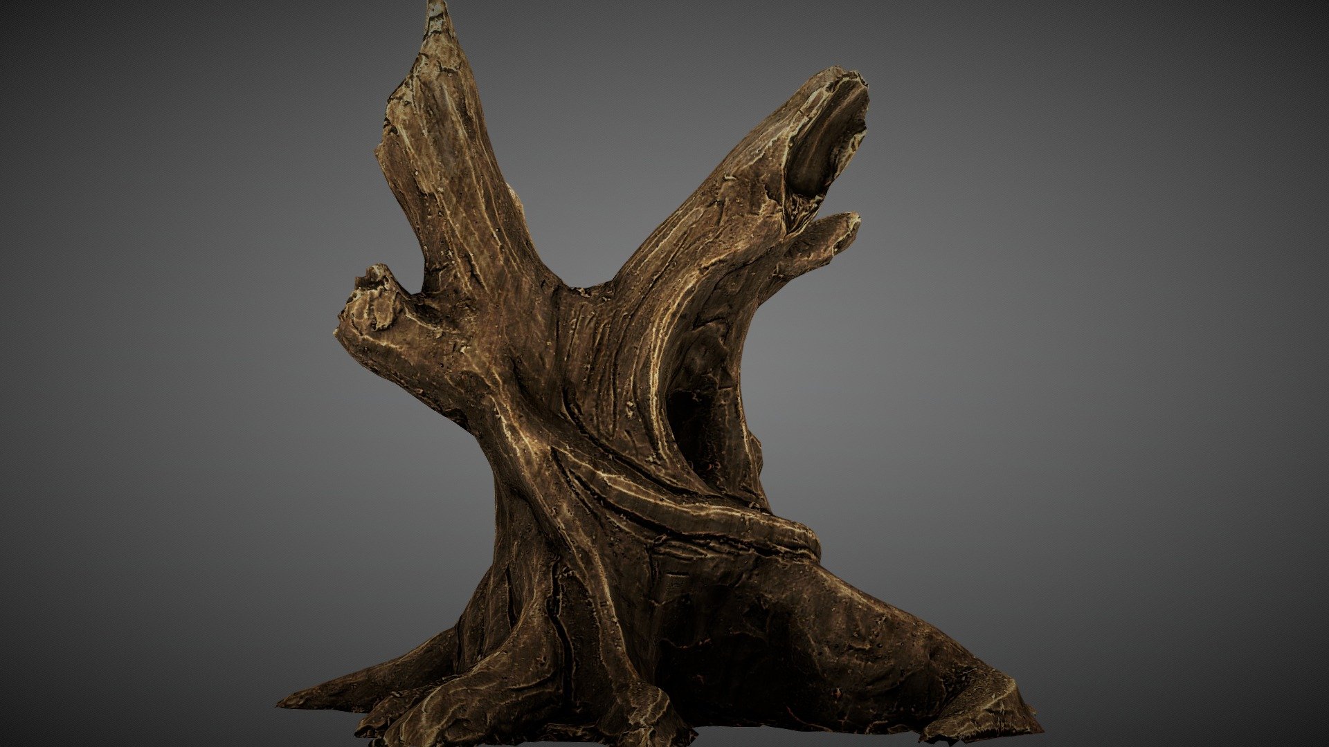 Tree 2 - 3D model by Phlox (@Phloxie) [daa037c] - Sketchfab