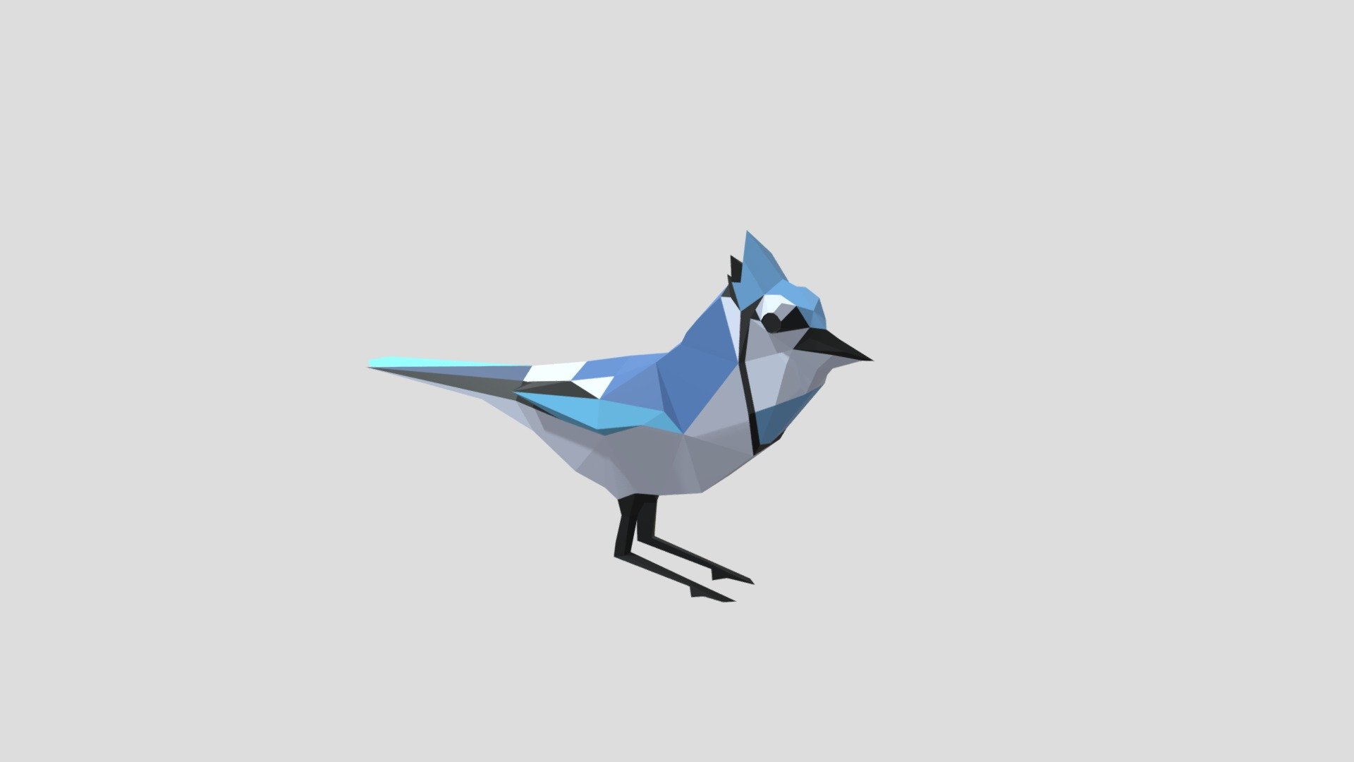 Low Poly Blue Jay - Download Free 3D model by brysondurham18 [daa19bf ...