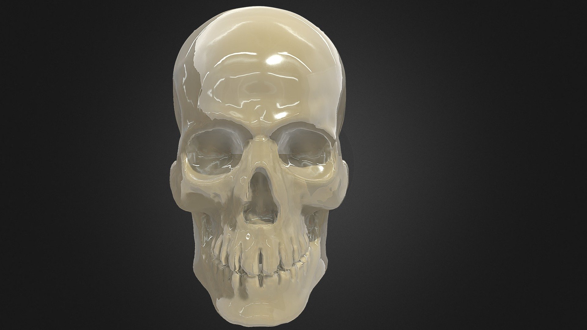human skull anatomy - Download Free 3D model by Kumar Thyadi ...