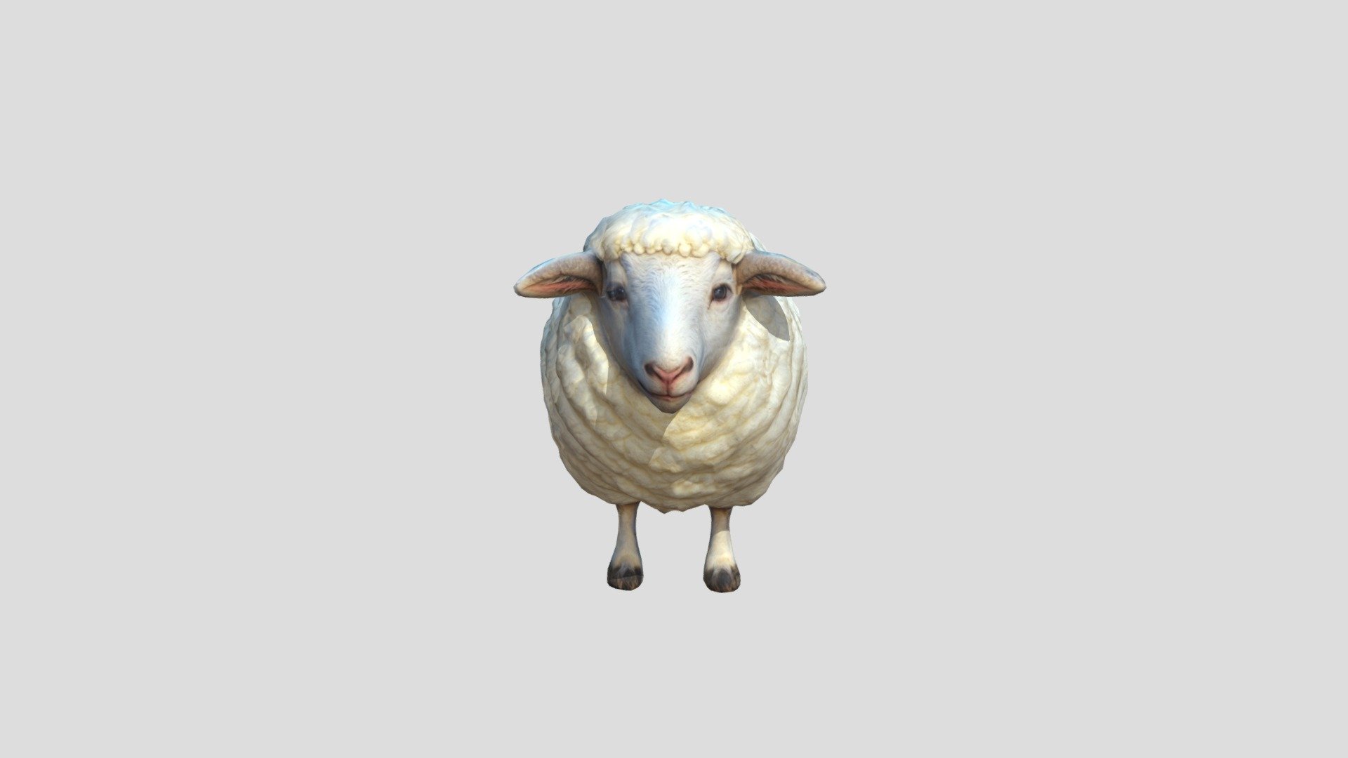 Endering of a cute and fluffy white sheep - Buy Royalty Free 3D model ...