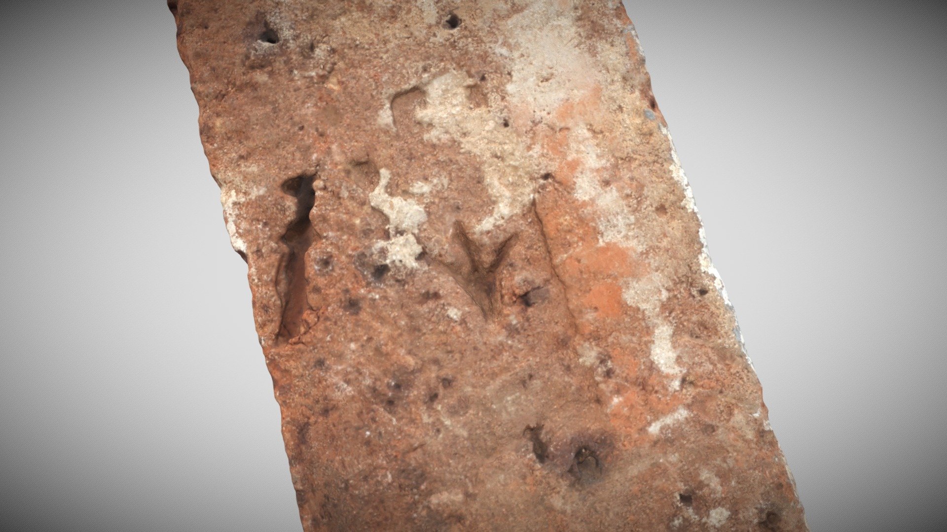 Convict-made ‘Paramatta’ brick - 3D model by Museums of History NSW ...