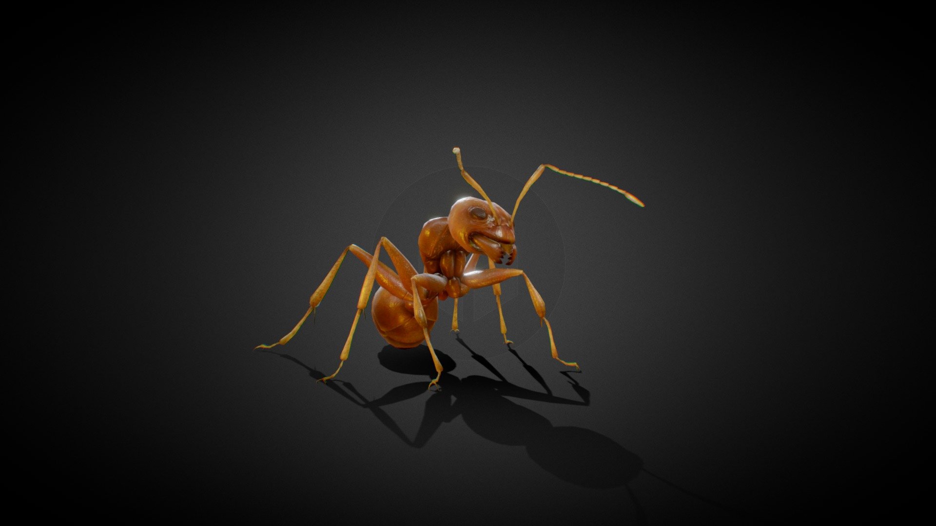 ANT - Download Free 3D model by MAXDESIGN-3D (@MAXDESIGN) [dab7080 ...