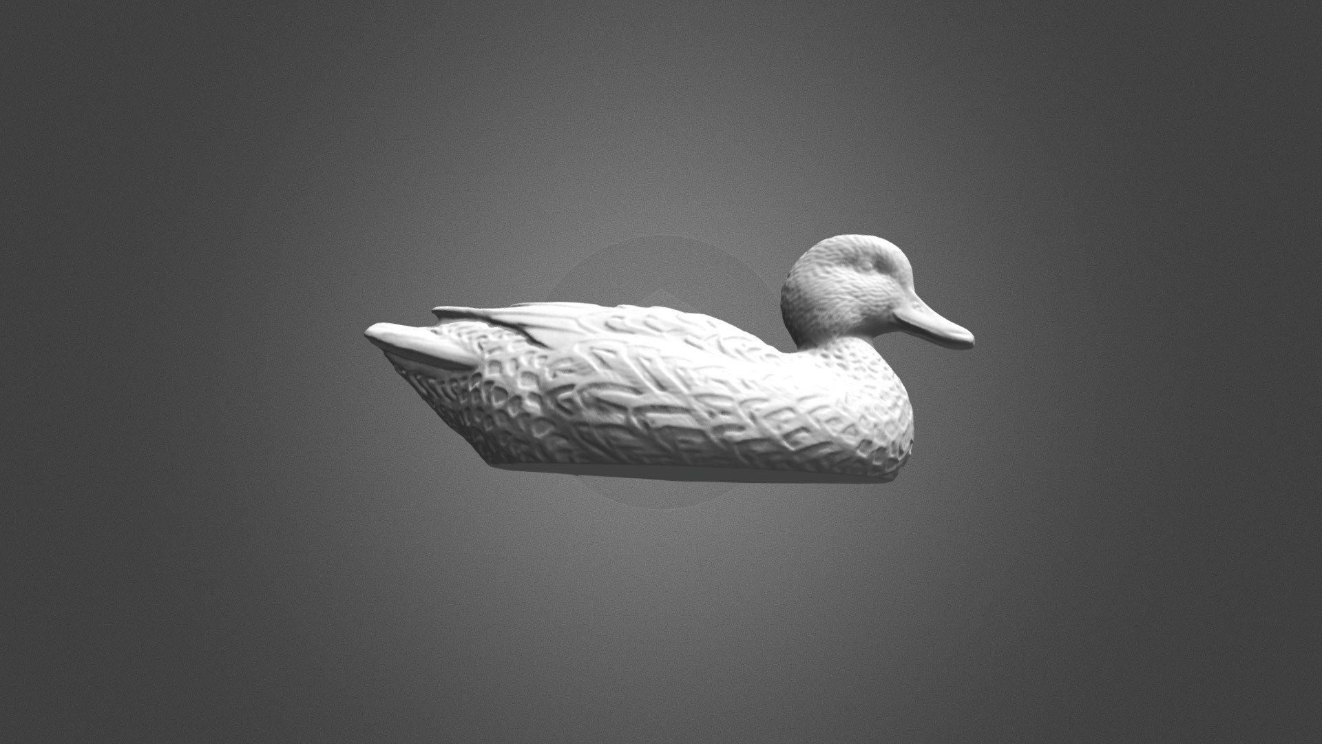 Duck Mesh by POP (stl) - Download Free 3D model by Revopoint 3D ...