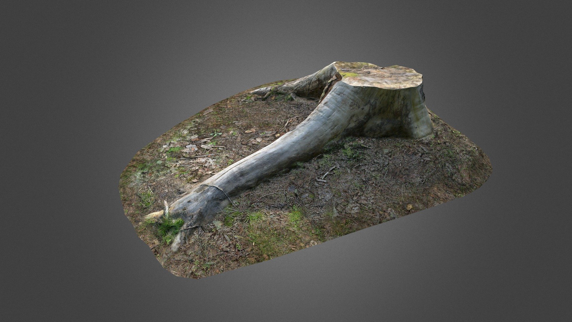 Stump_16 - 3D model by STmodels (@gravchik) [dad15d2] - Sketchfab