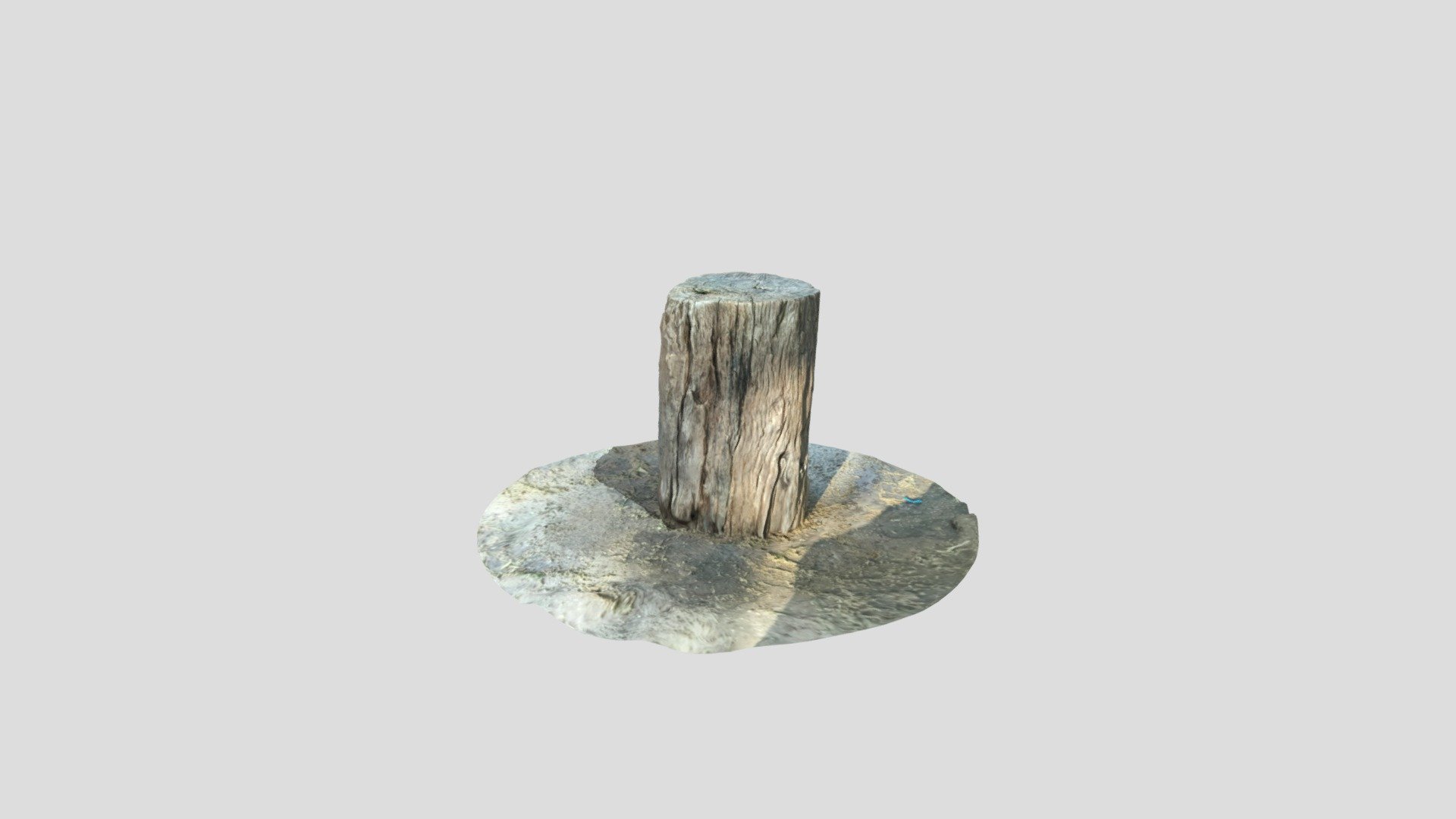 tree trunk - 3D model by anshul.agrawal.sod22 [dad8173] - Sketchfab