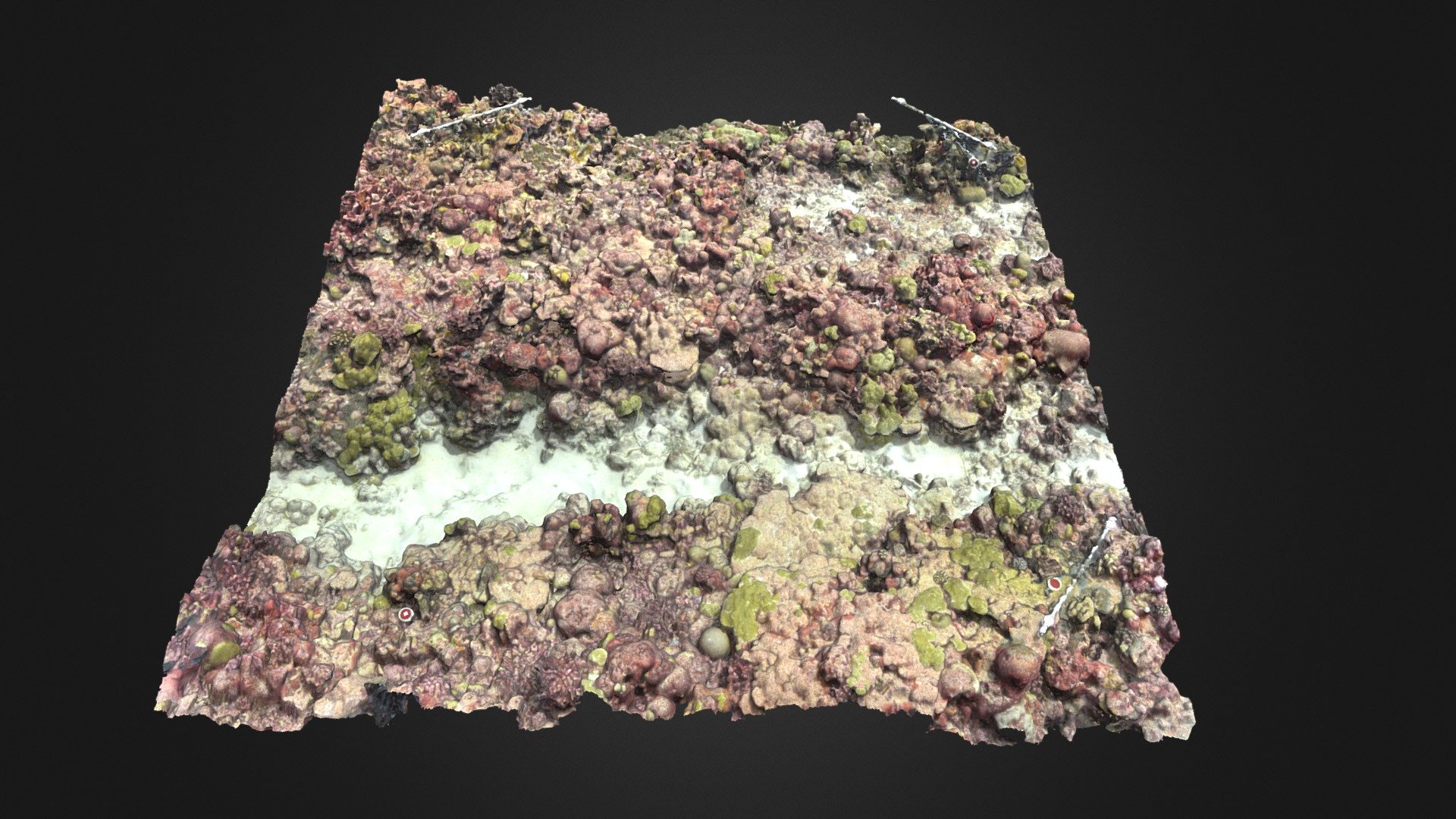 July 2019, southwest coast, Kiritimati, Kiribati - 3D model by baumlab ...