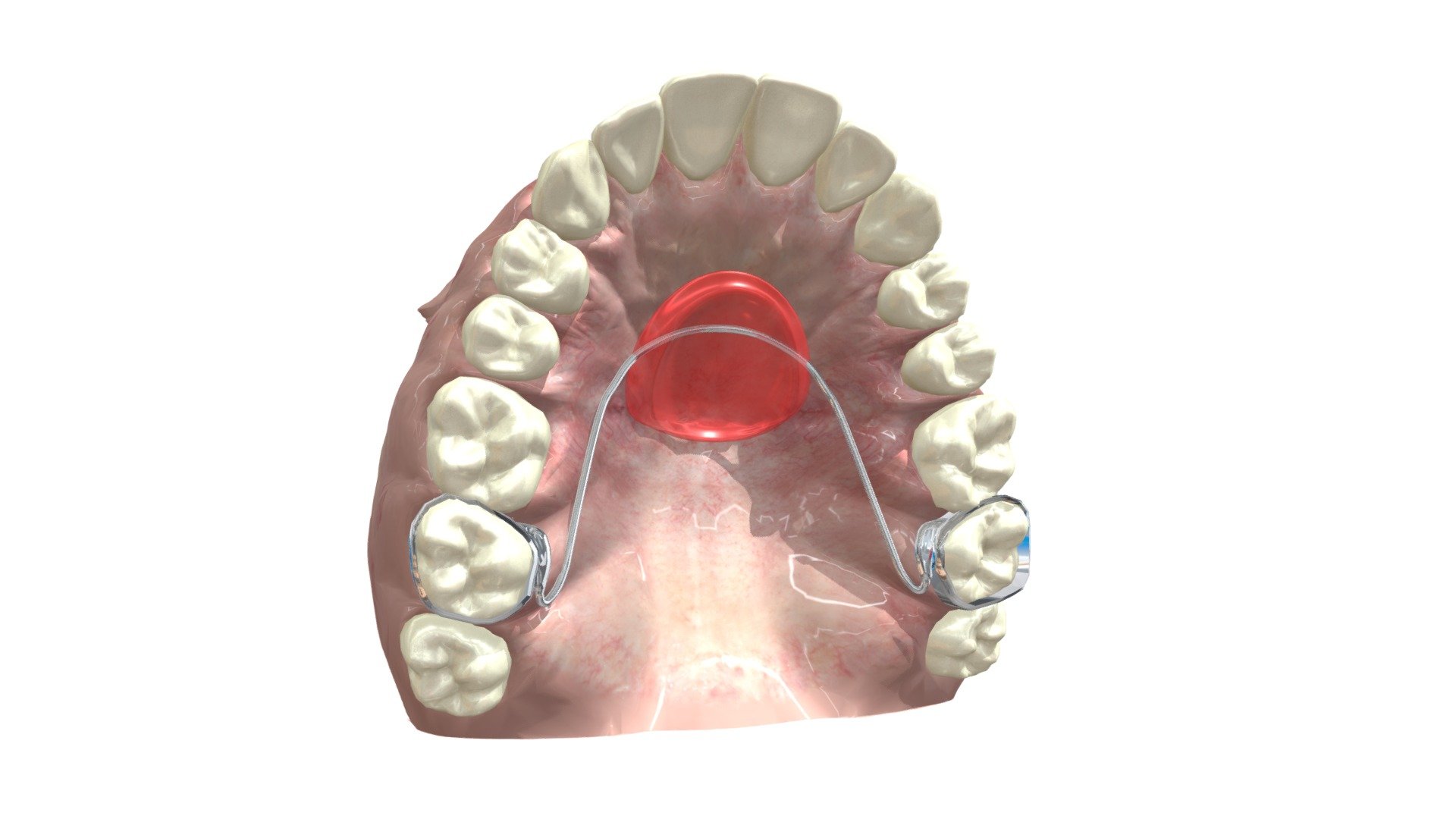 2. NANCE BUTTON - 3D model by Interactive 3D Data (@proteinsimulation ...