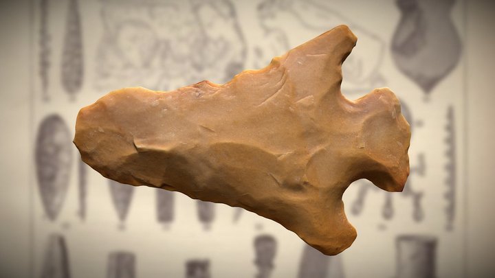 Arrowhead 3D models - Sketchfab
