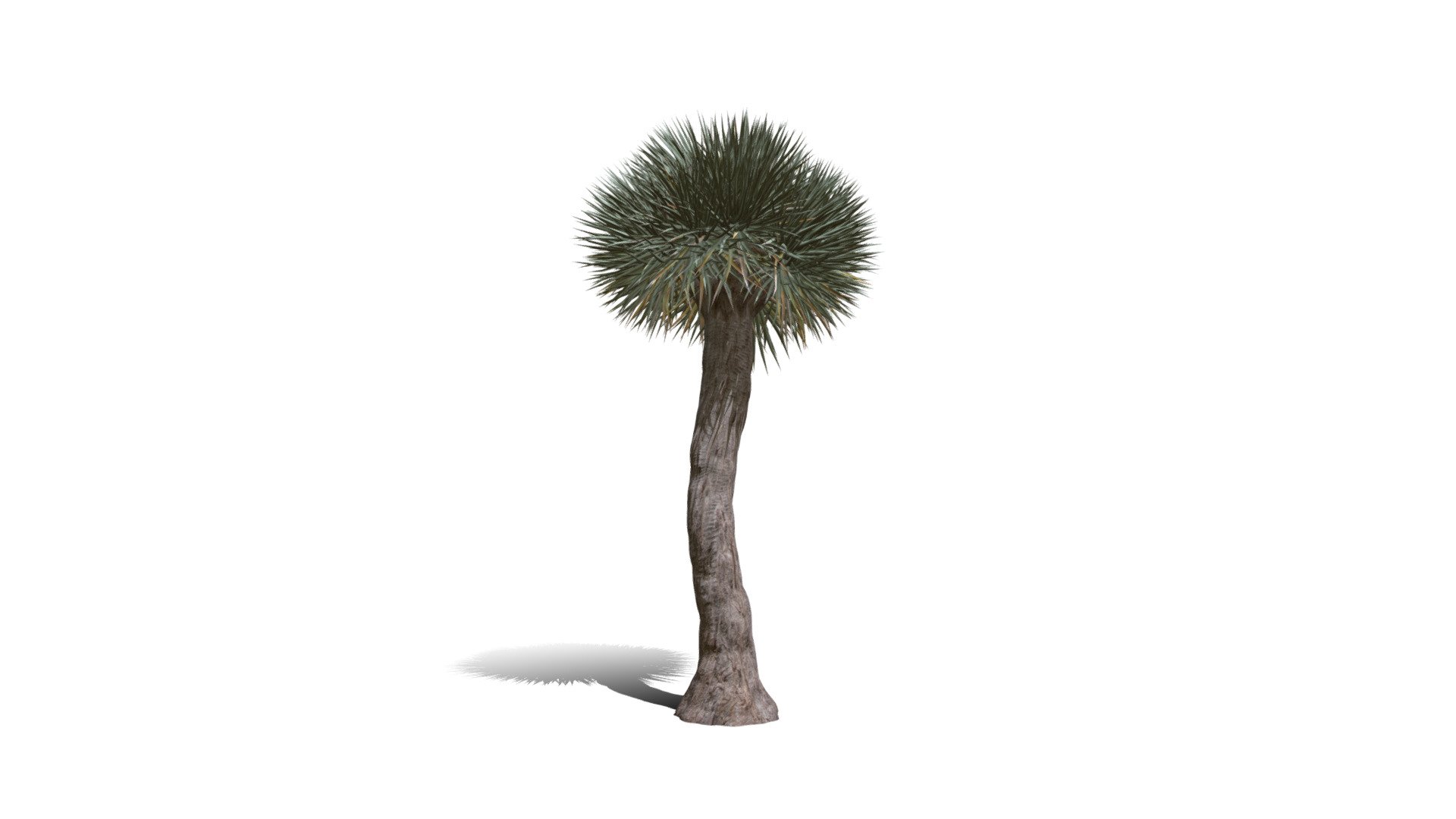 Realistic HD Dragon tree (43/50) - Download Free 3D model by ...