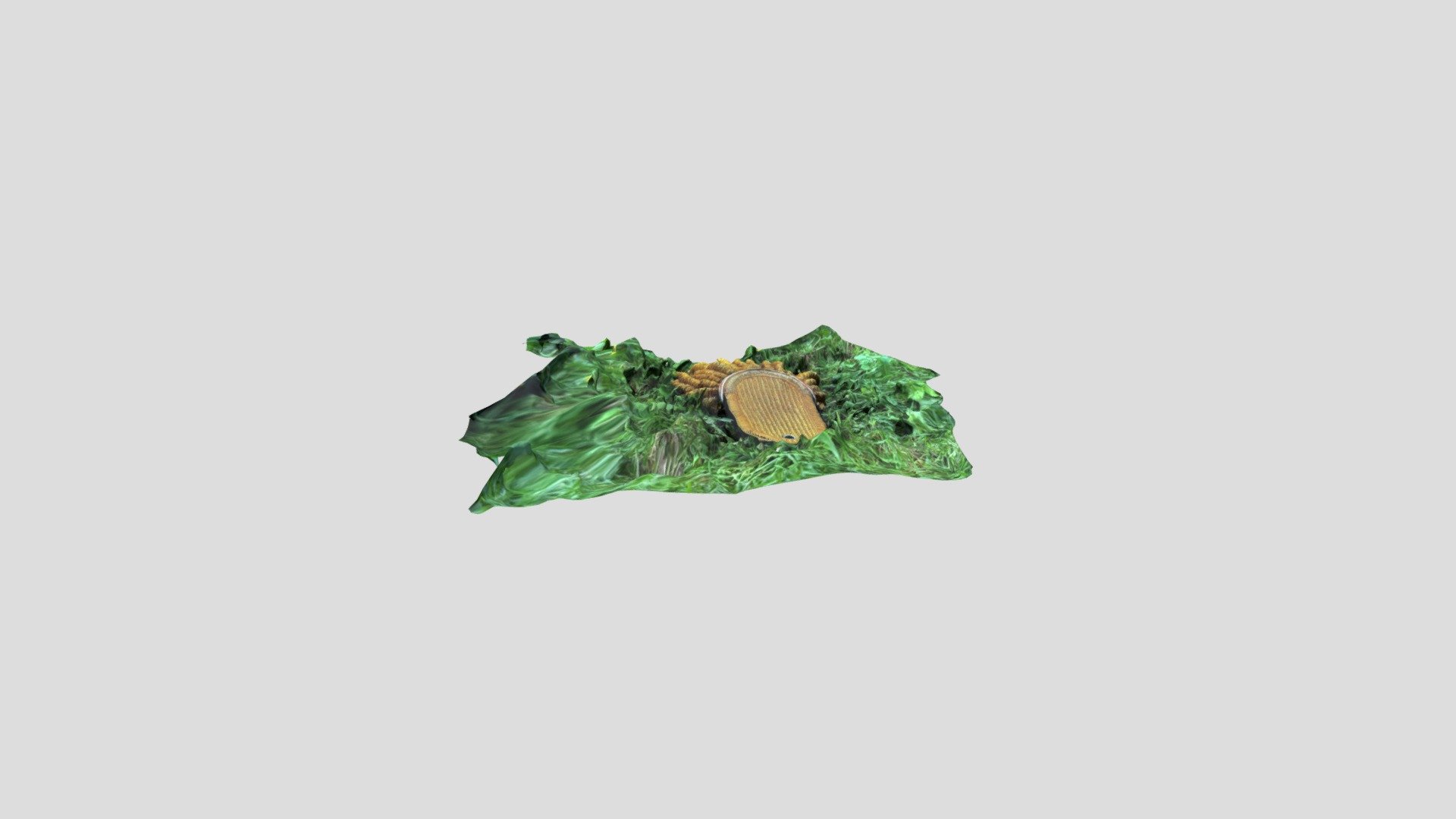 Epaulette Sep8at1-08 PM-poly - 3D model by HPL Collection ...