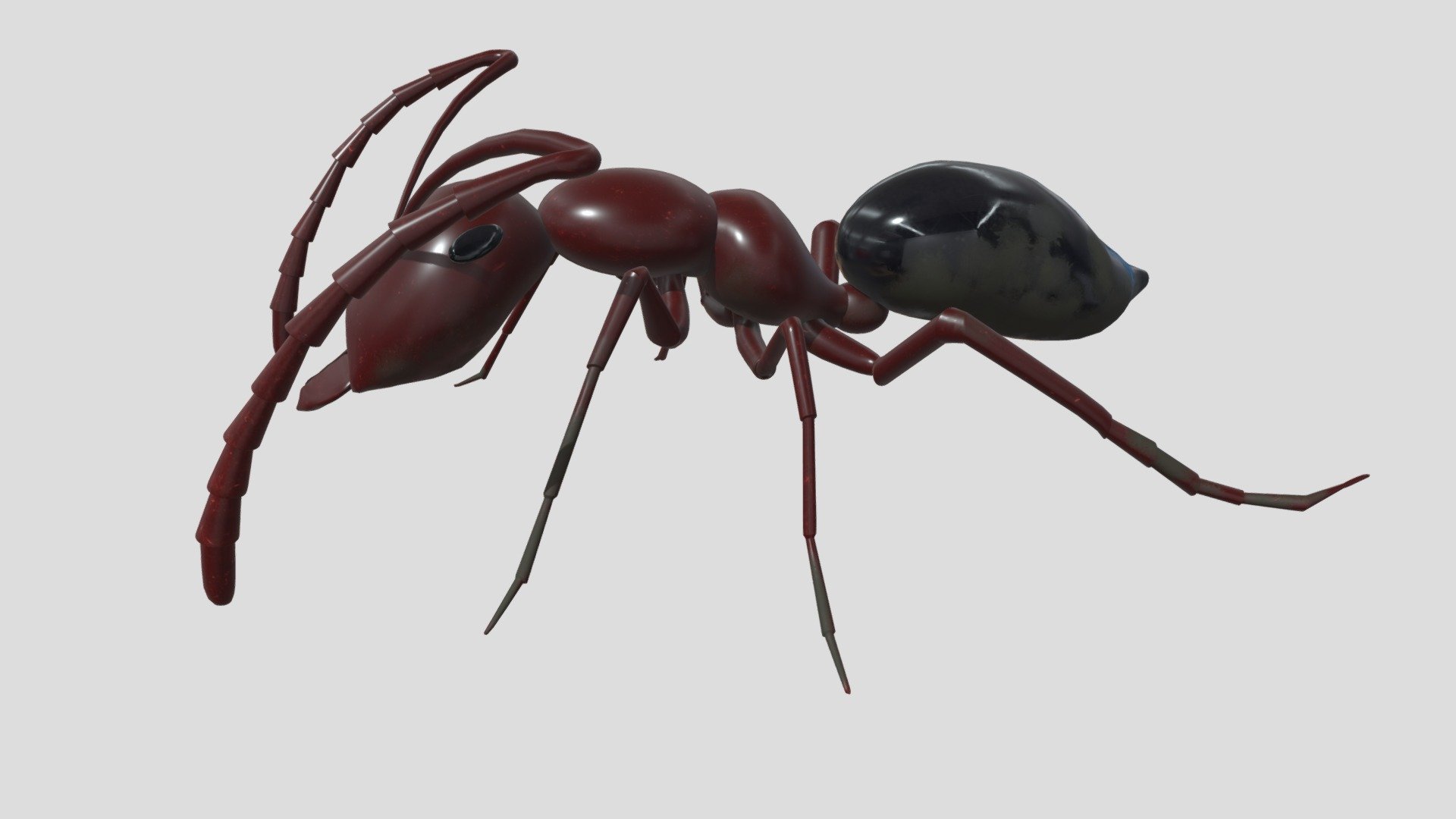 ANT - Download Free 3D model by ani katkar (@anikatkar23) [daff0fd ...