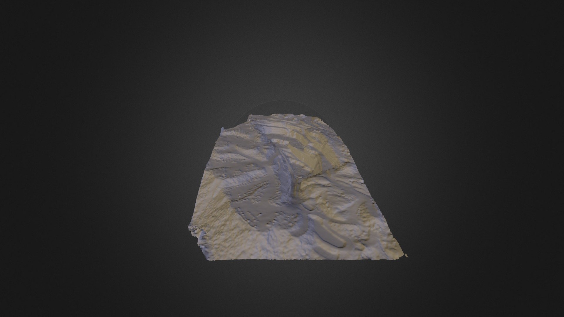 Cambrian_Faces3 - 3D model by Flyterra [db09299] - Sketchfab