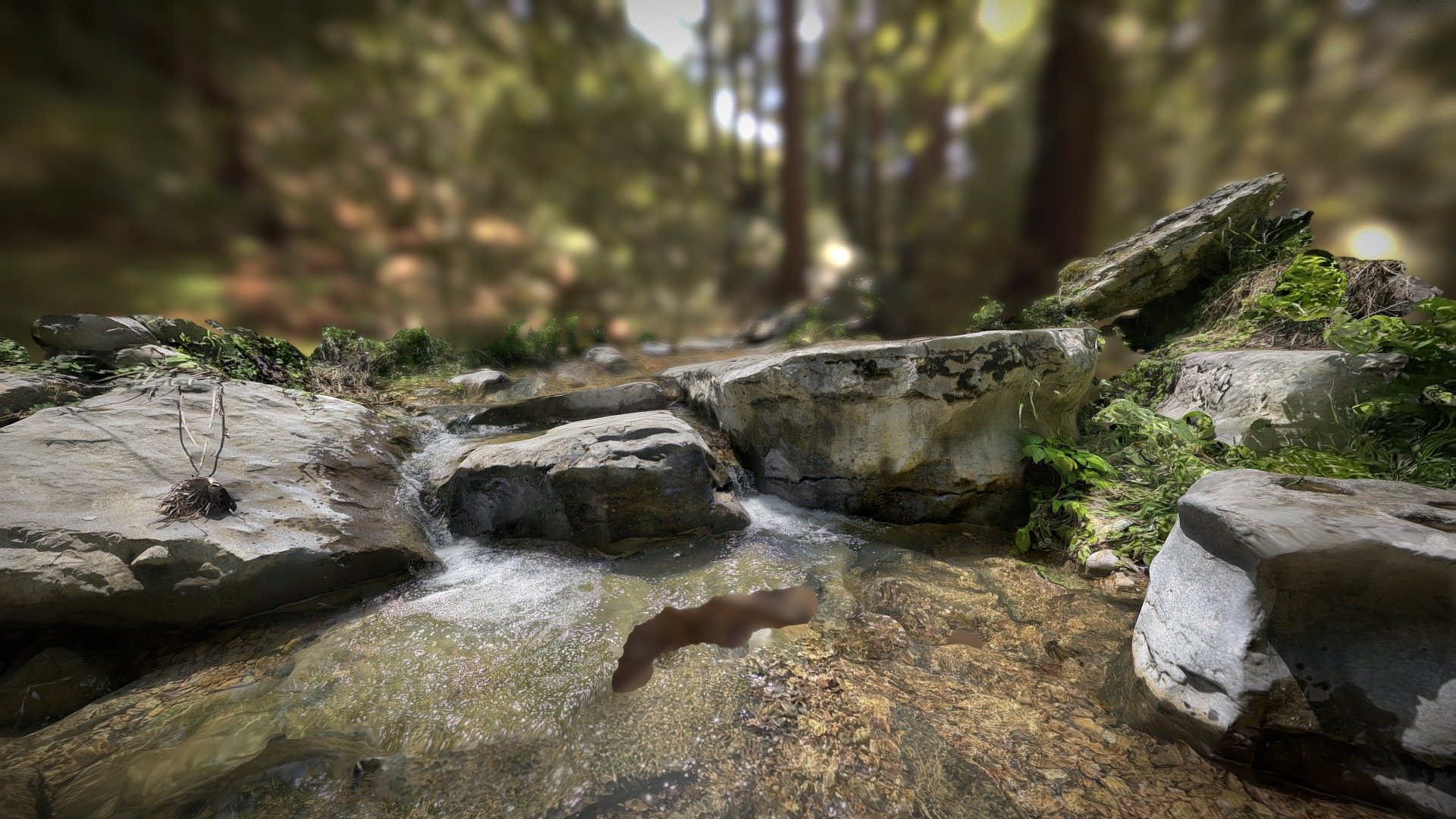 Hill Creek rocks - MTSU - Download Free 3D model by MTSU Animation ...
