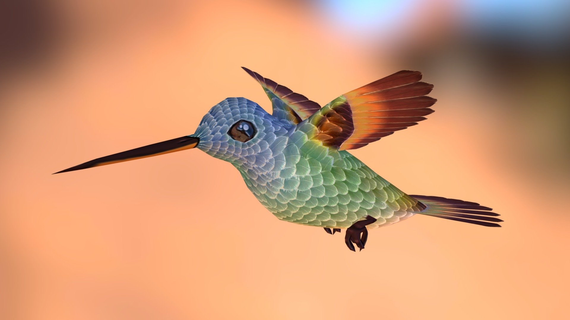 Hummingbird - 3D model by alterrok [db18342] - Sketchfab