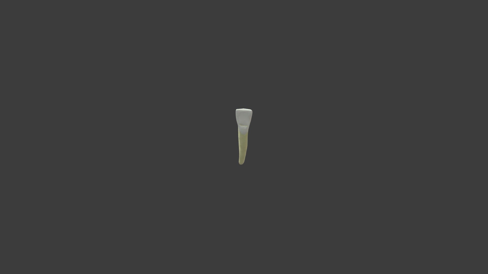 Cingulum rest Flat - 3D model by Ahmed Mahrous (@drahedmahrous ...