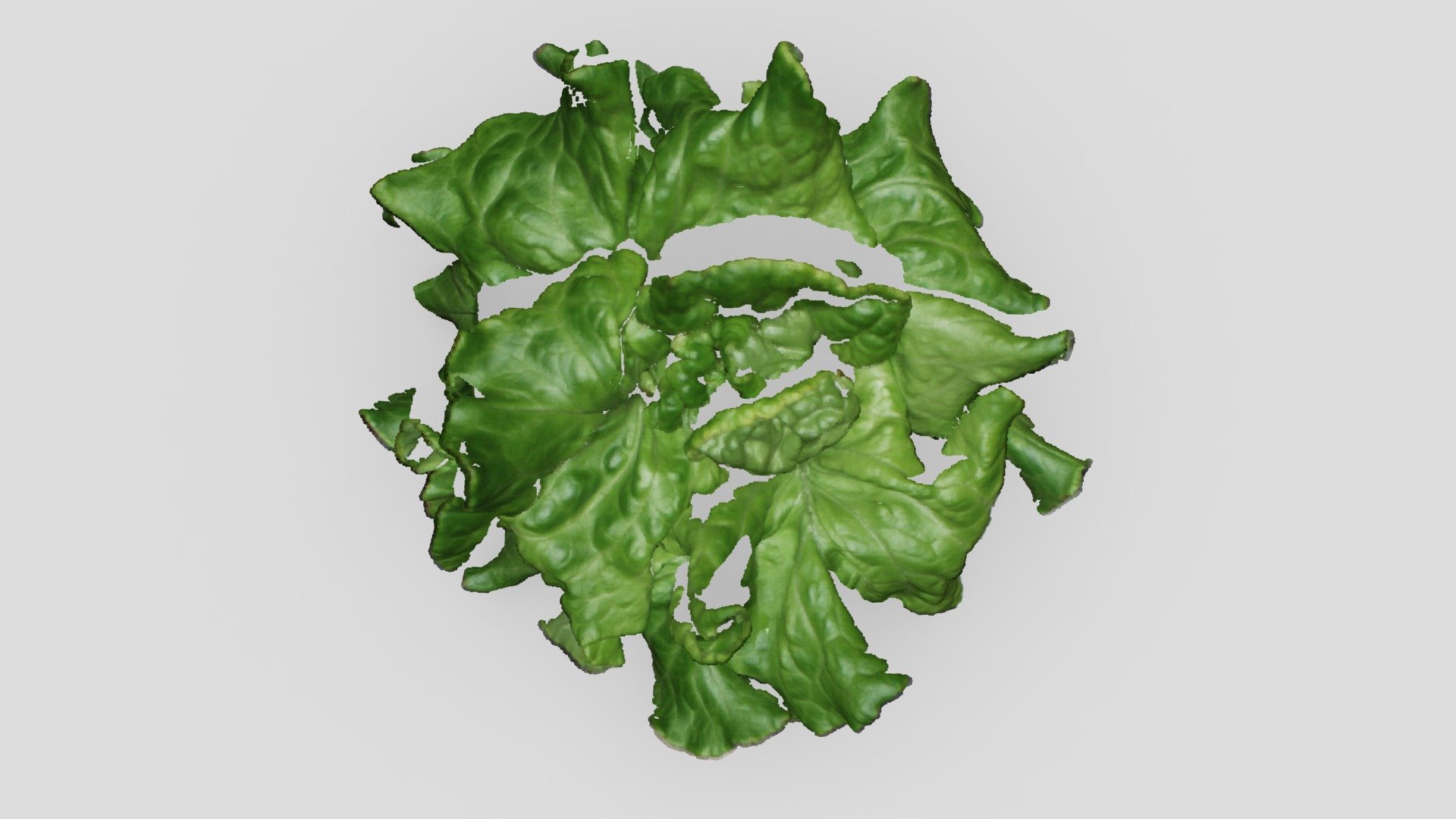 MicroScan F600 Single Scan Lettuce - 3D model by Phenospex (@phenospex ...
