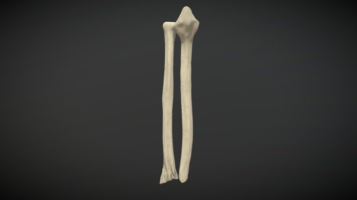 Cubito 3D models - Sketchfab
