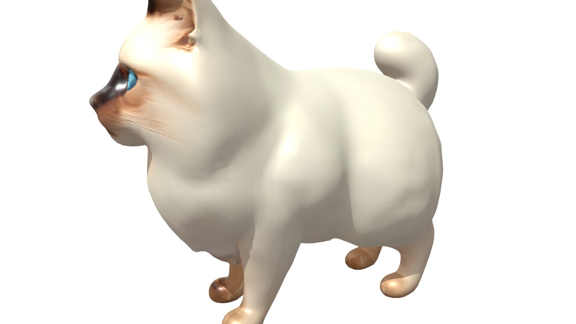 Birman Cat with blue eyes - 3D model by Exqzy [db23190] - Sketchfab