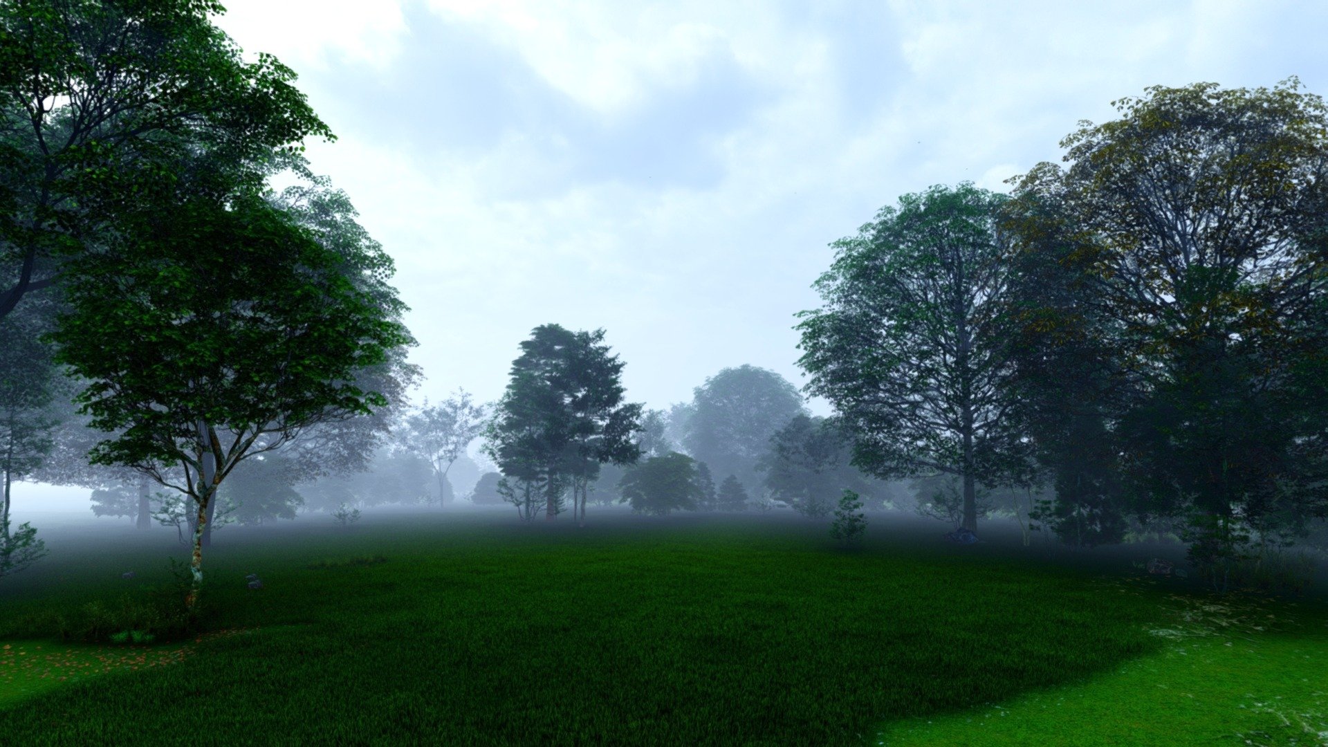 HDRI & SKY BOX 8K - SCENE OF MIST FOREST - Buy Royalty Free 3D model by ...