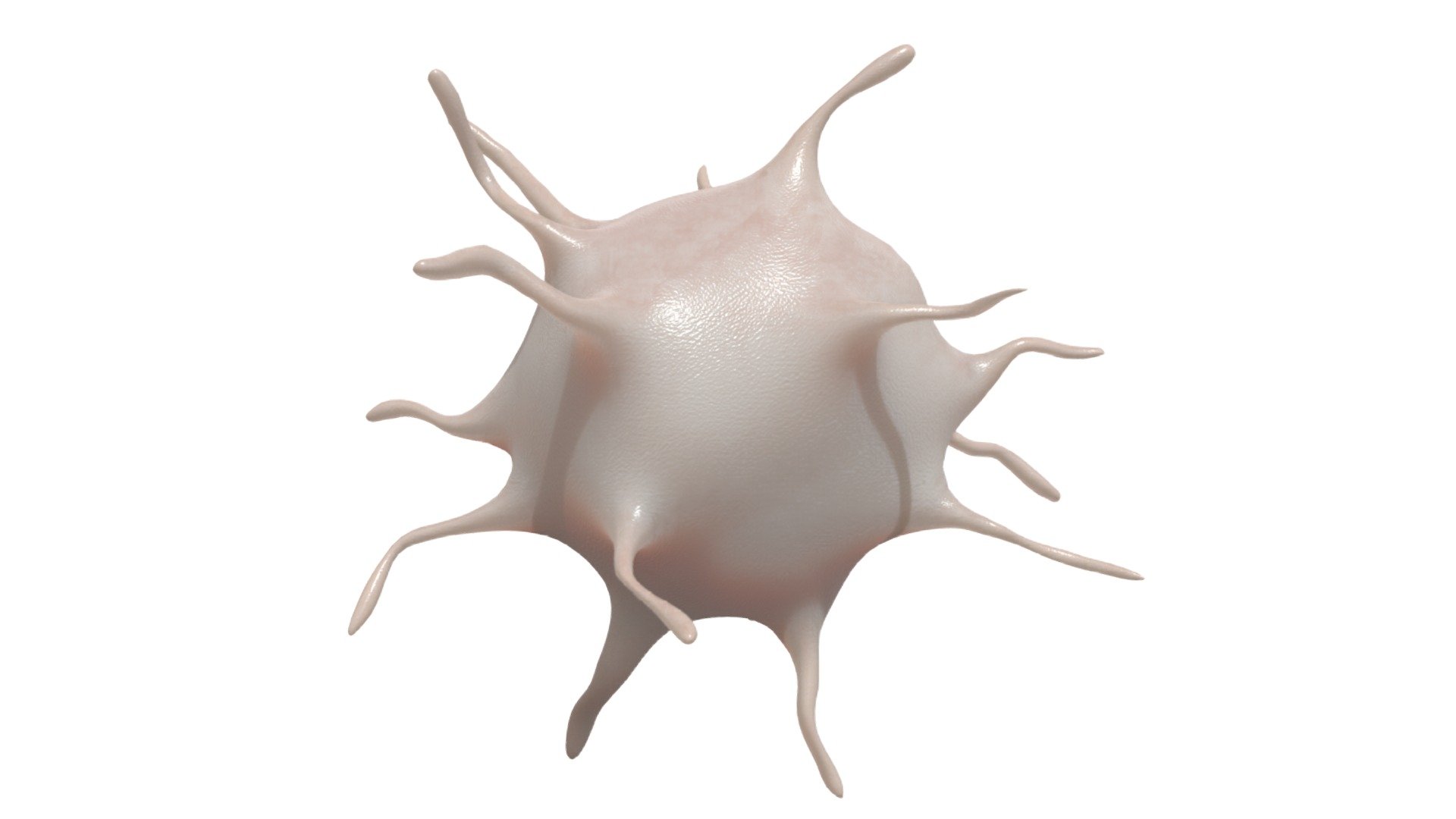 Platelet Thrombocyte - Buy Royalty Free 3D model by zames1992 [db2a46a ...