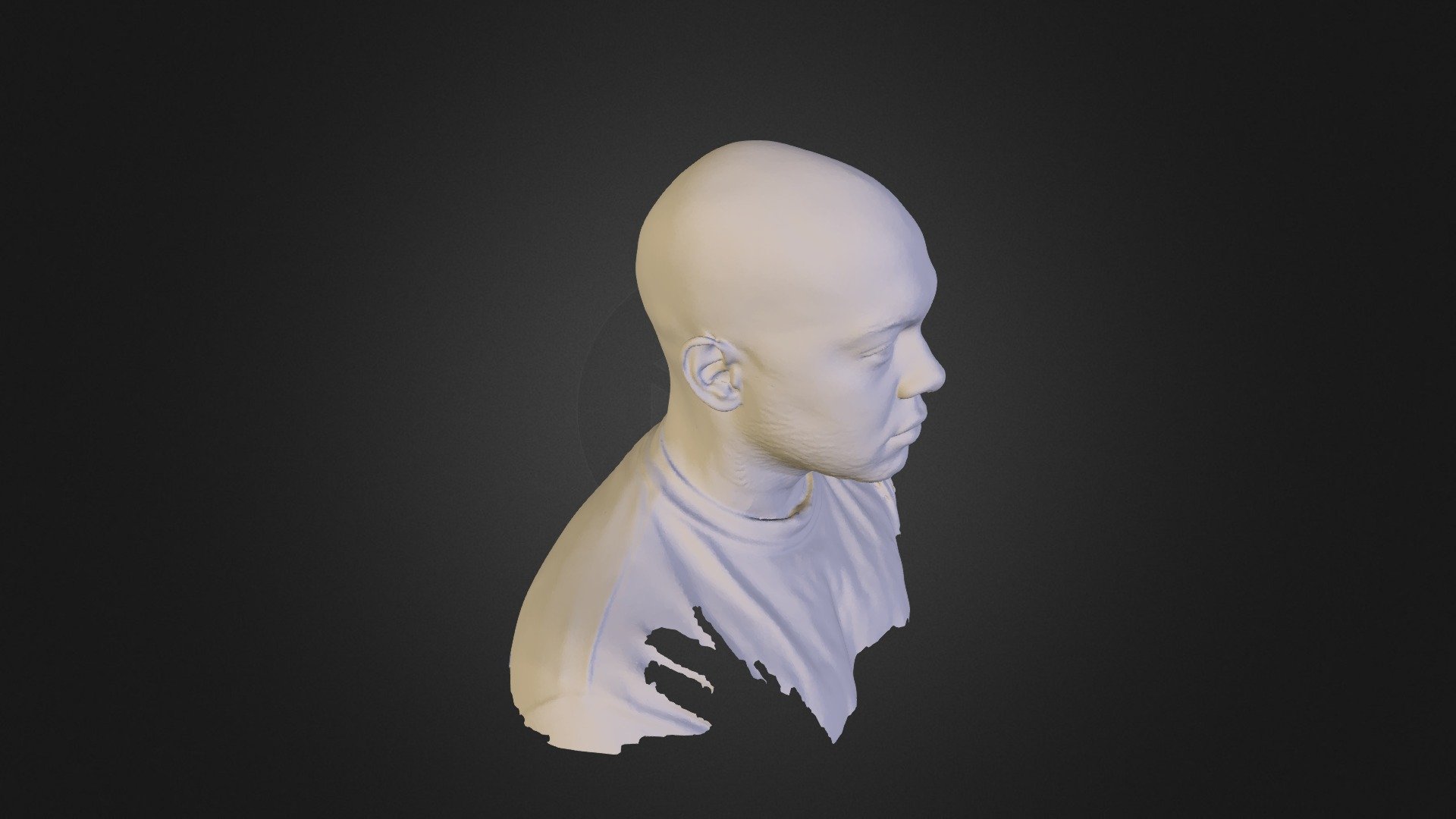Greg Head Scan - 3D model by scanable [db31cc7] - Sketchfab