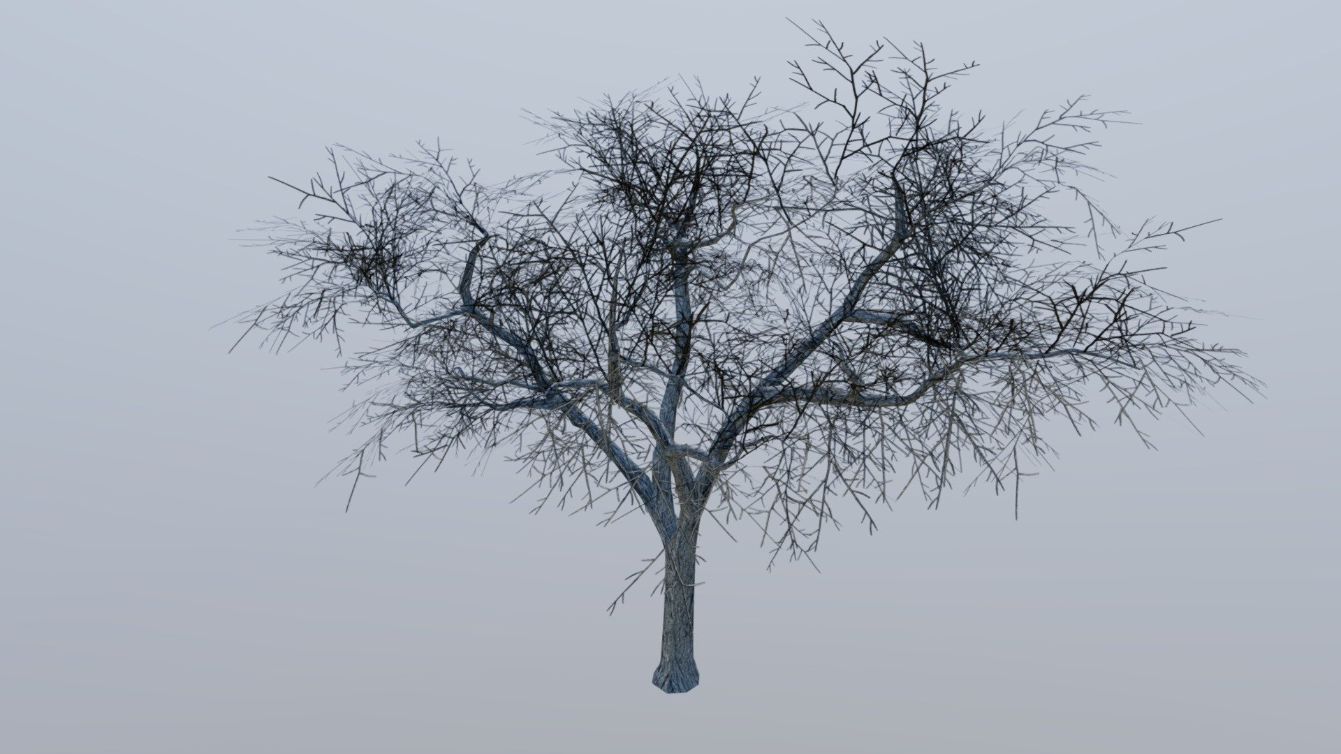 Low Poly - Tree (Winter) - 3D model by bahaa2 [db35d7f] - Sketchfab