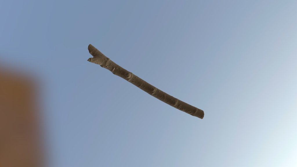 Twig - Download Free 3D model by ksdesignlab [db366e6] - Sketchfab