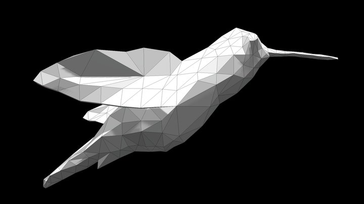 Hummingbird 3D models - Sketchfab