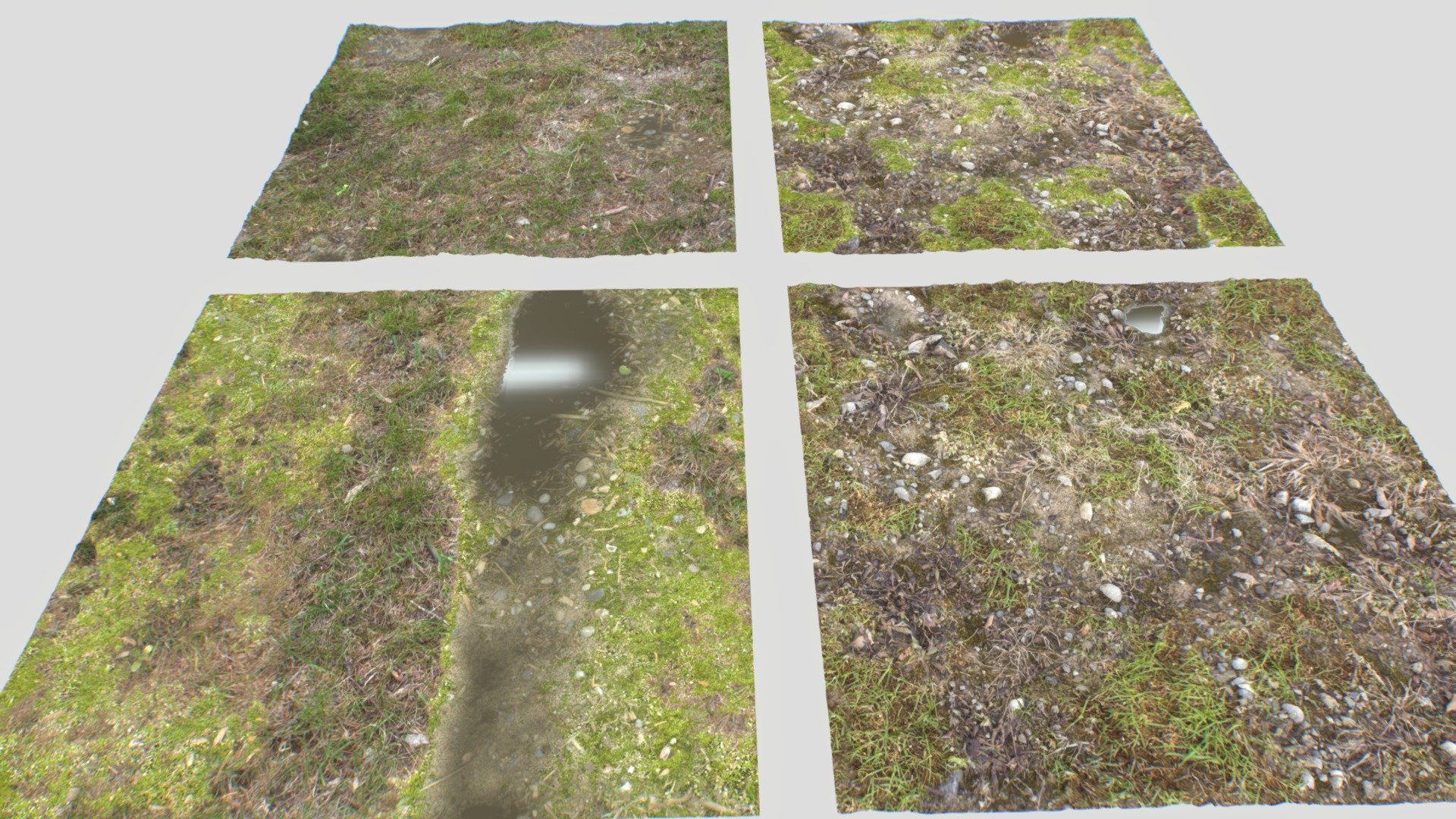 Forest ground PBR Pack 12 Textures - Buy Royalty Free 3D model by 32cm [db4ce1c] - Sketchfab Store