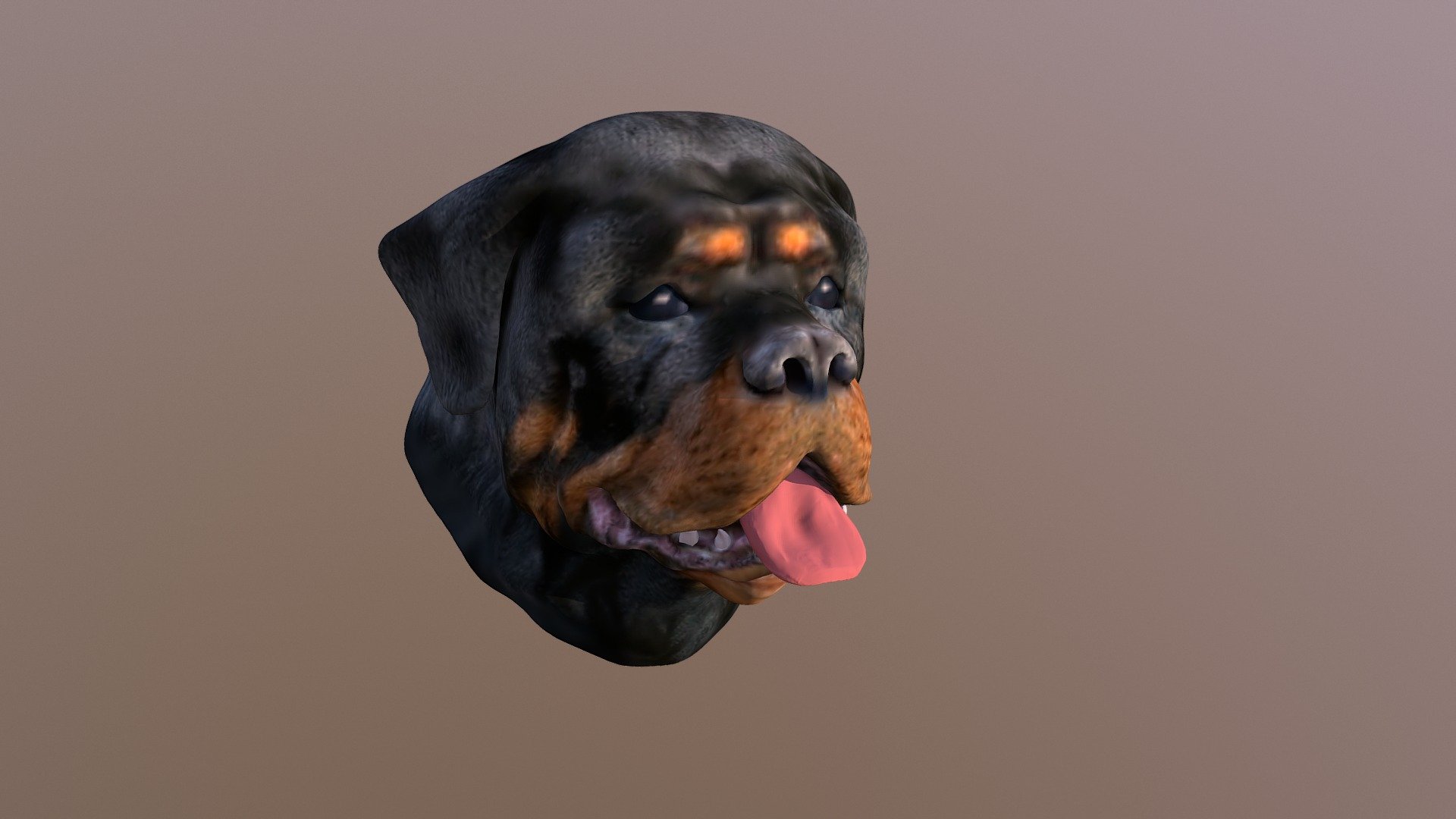 Rottweiler's head (test Zbrush texturing) - 3D model by Eugene_B ...