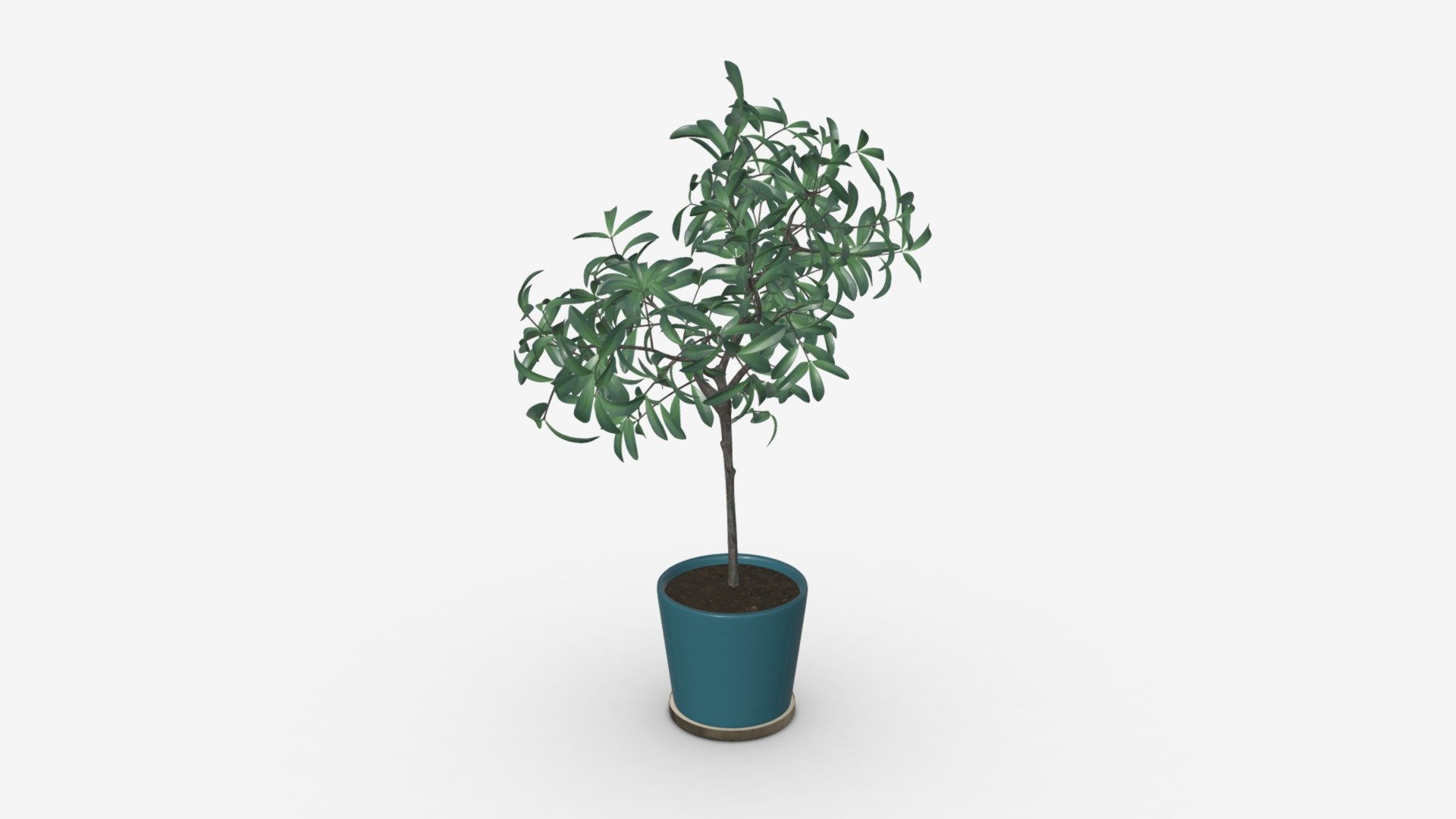 Potted decorative tree 01 - Buy Royalty Free 3D model by HQ3DMOD ...
